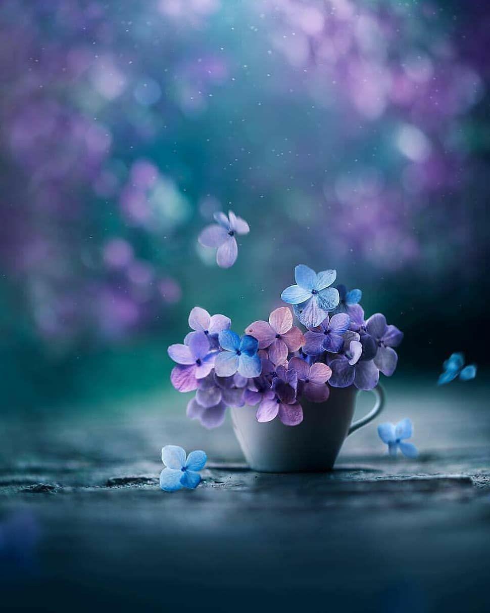 Pretty Photography Wallpapers - Top Free Pretty Photography Backgrounds ...