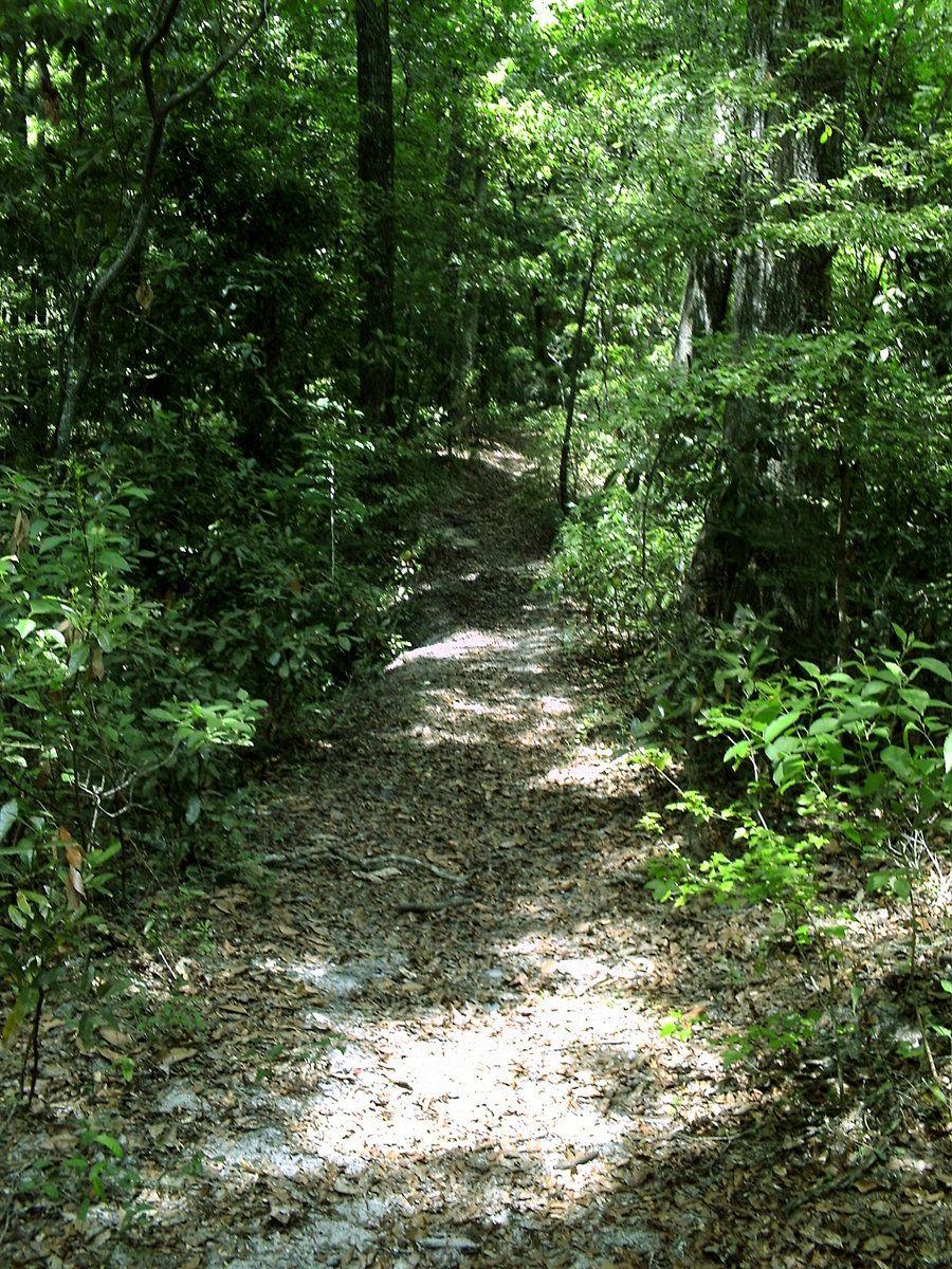 Real Photography Wallpapers - Top Free Real Photography Backgrounds ...