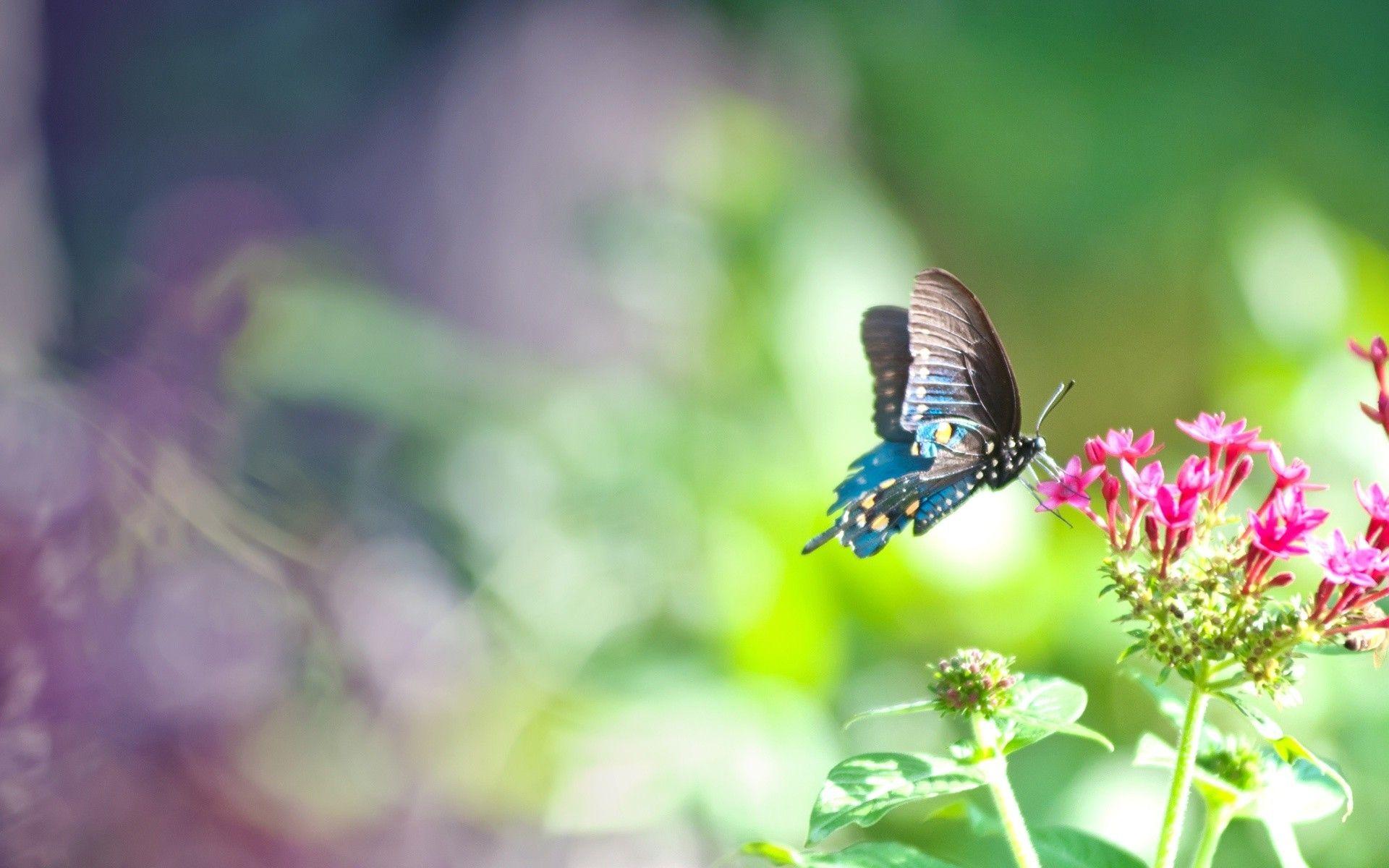 Real Photography Wallpapers - Top Free Real Photography Backgrounds ...