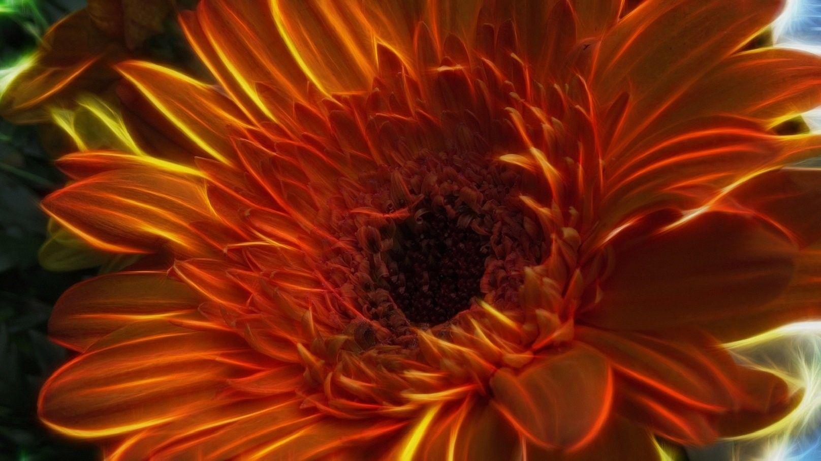 Red Flower Aesthetic Wallpapers - Top Free Red Flower Aesthetic ...