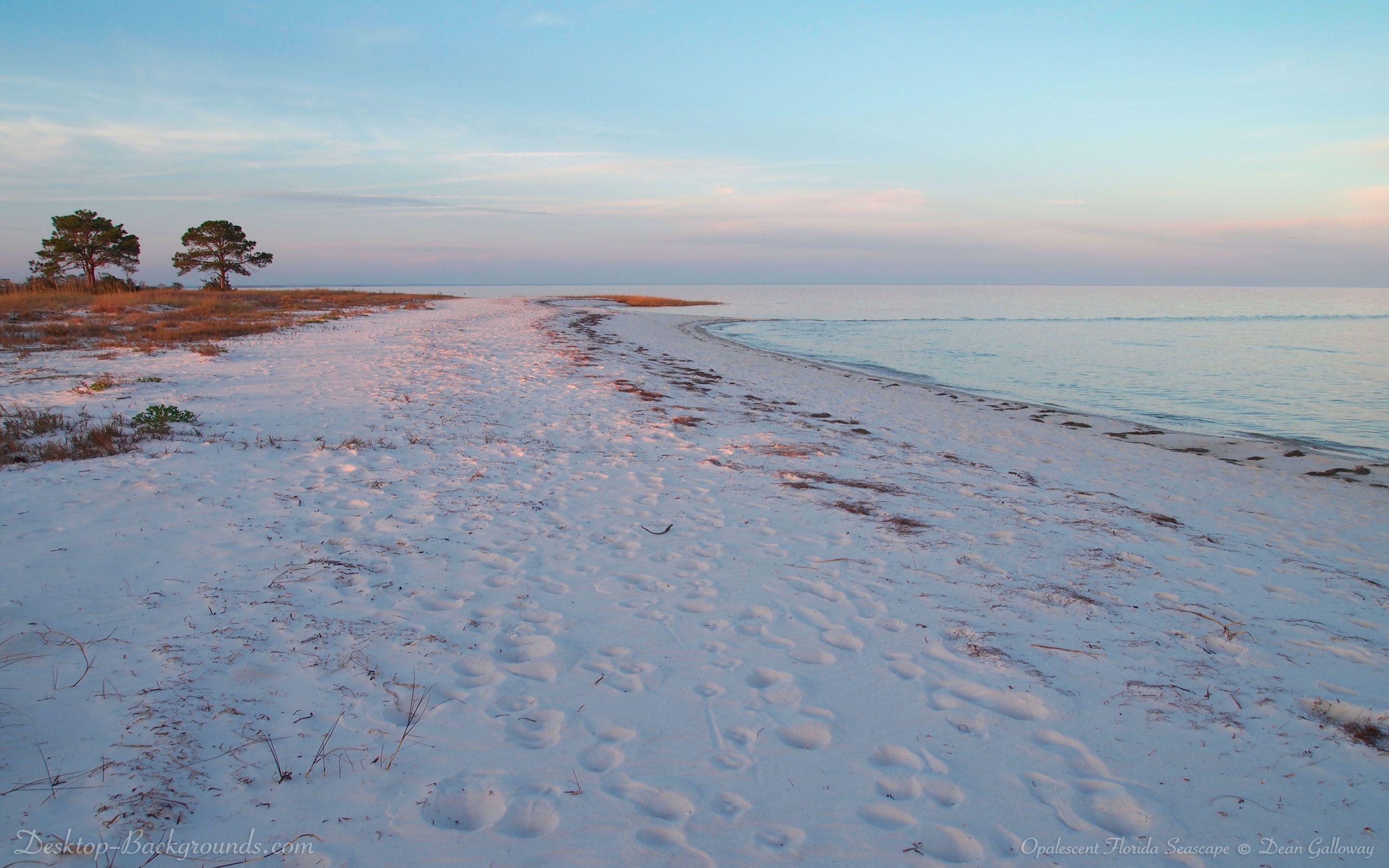 Florida Beach Desktop Wallpapers - Top Free Florida Beach Desktop ...