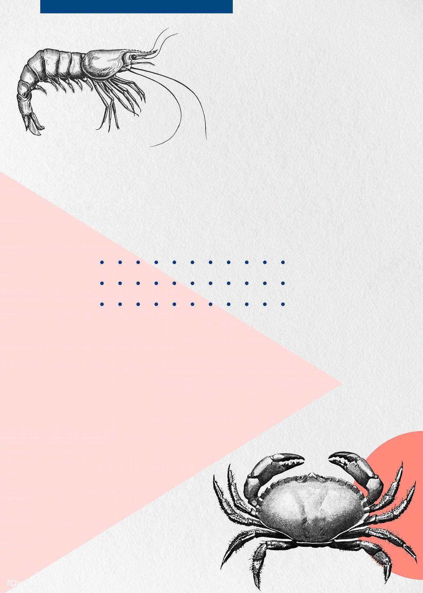 Shrimp Wallpapers - Top Free Shrimp Backgrounds - WallpaperAccess