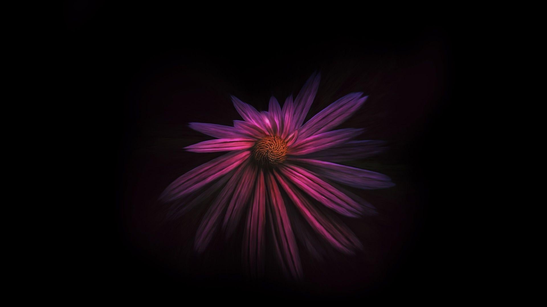 Dark Floral Desktop Wallpapers - Top Free Dark Floral Desktop ...