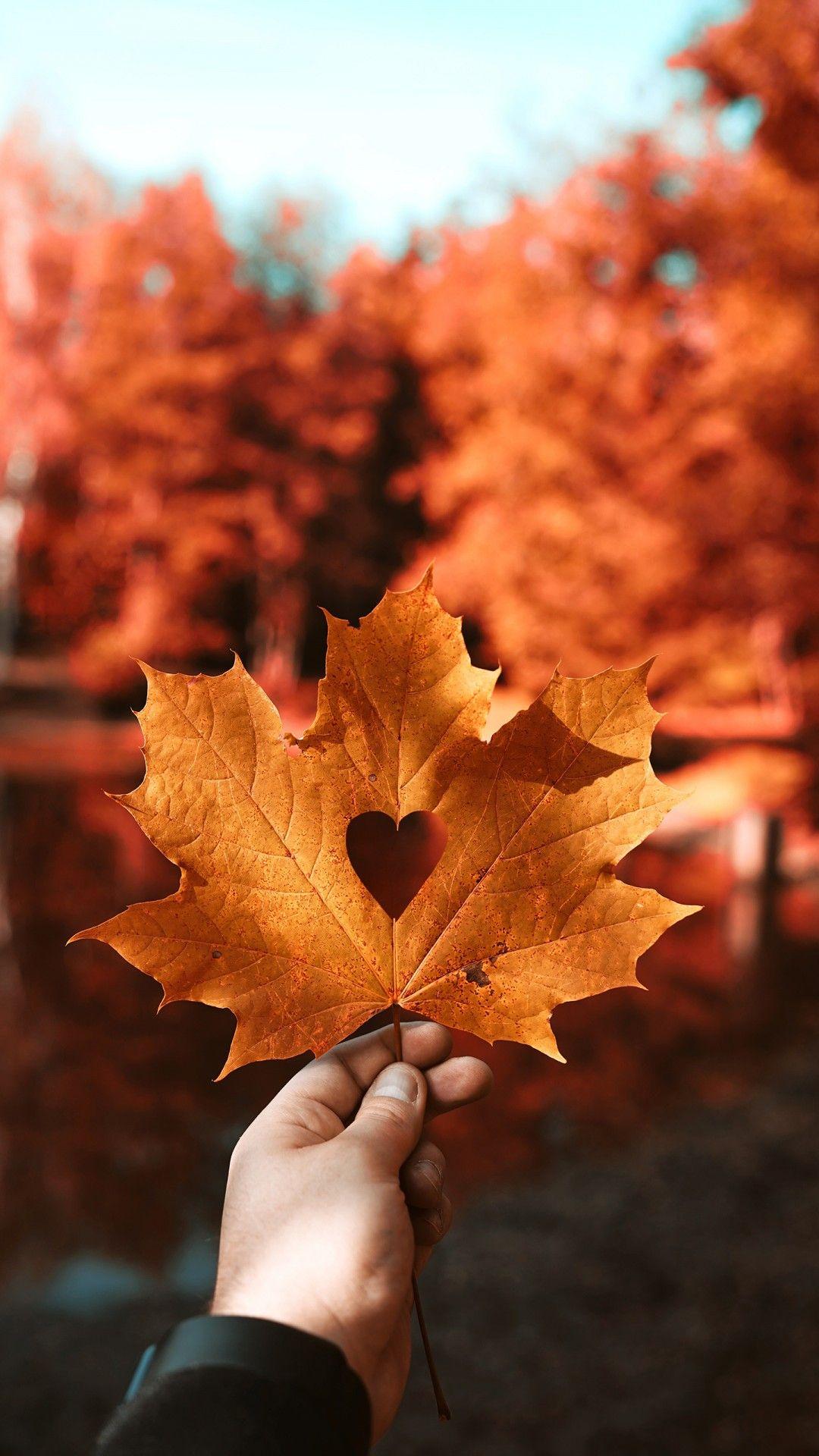 Autumn Love Wallpapers - Top Free Autumn Love Backgrounds - WallpaperAccess