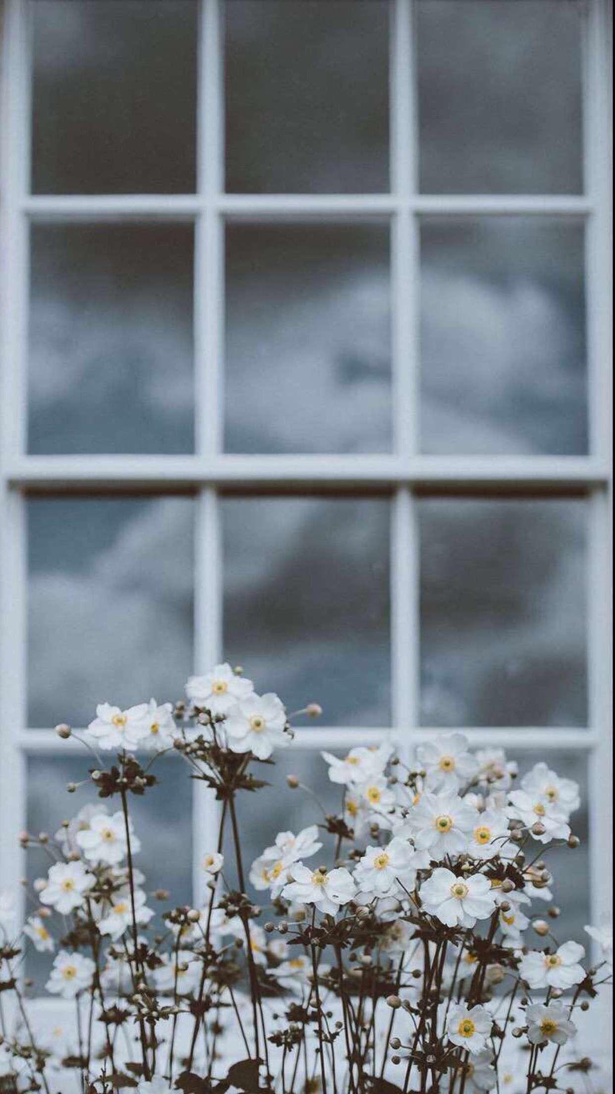 Rustic Windows Wallpapers - Top Free Rustic Windows Backgrounds ...