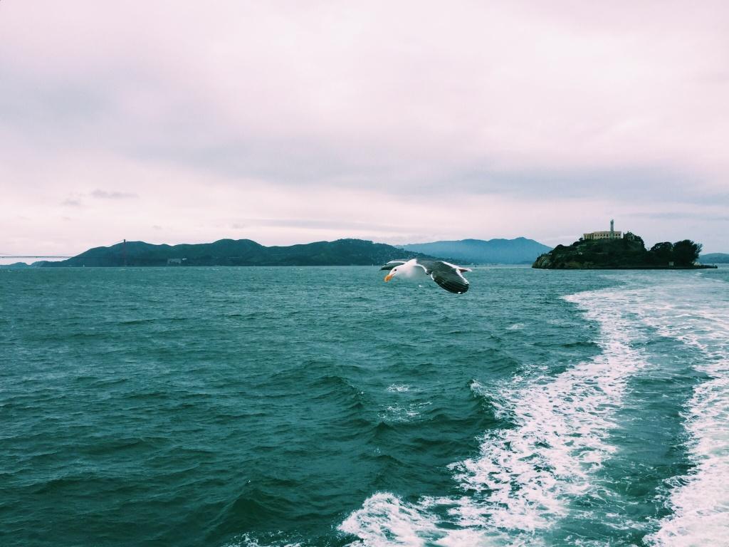 VSCO Wave Wallpapers - Top Free VSCO Wave Backgrounds - WallpaperAccess