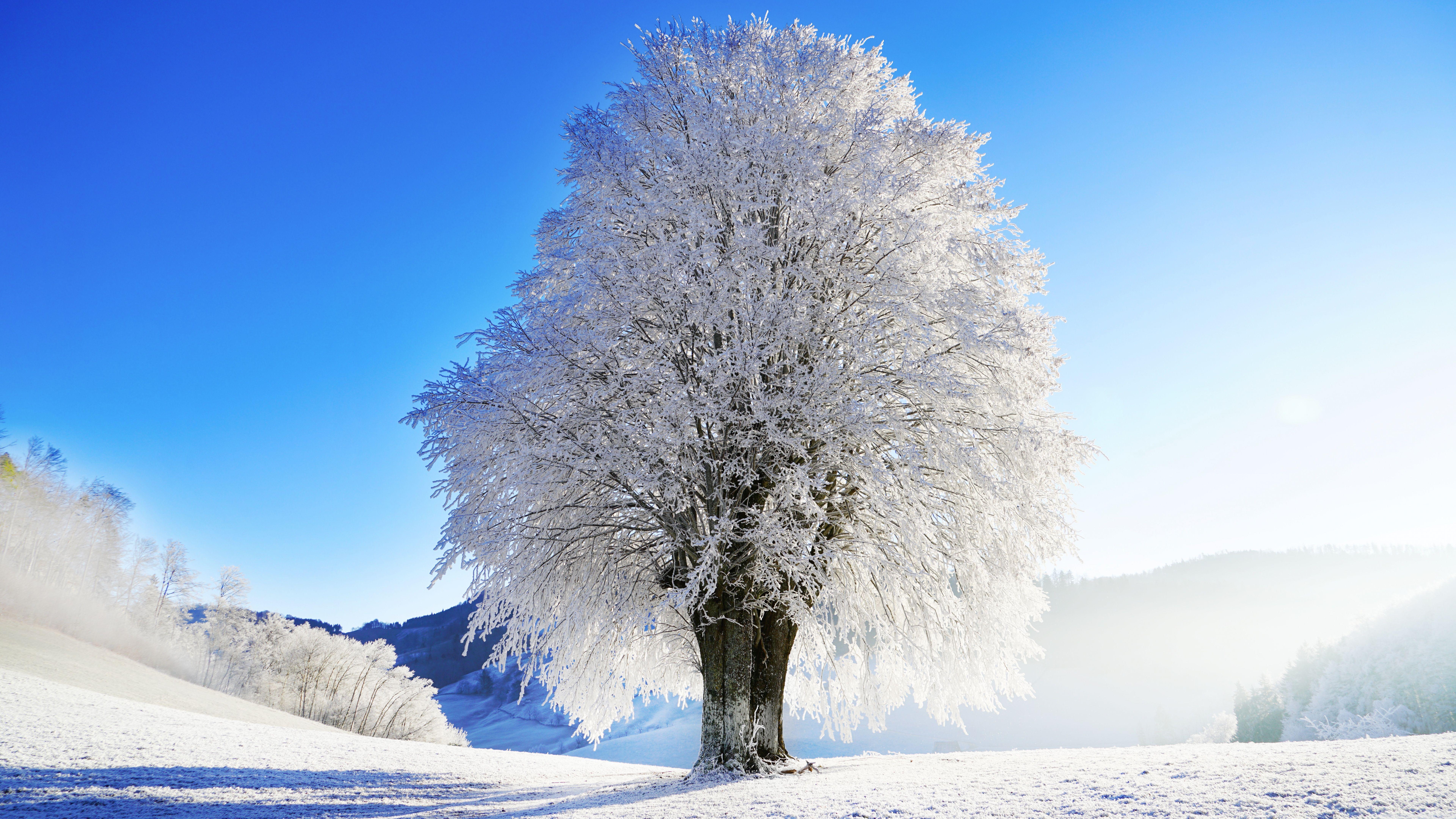 8K Ultra HD Winter Wallpapers - Top Free 8K Ultra HD Winter Backgrounds ...