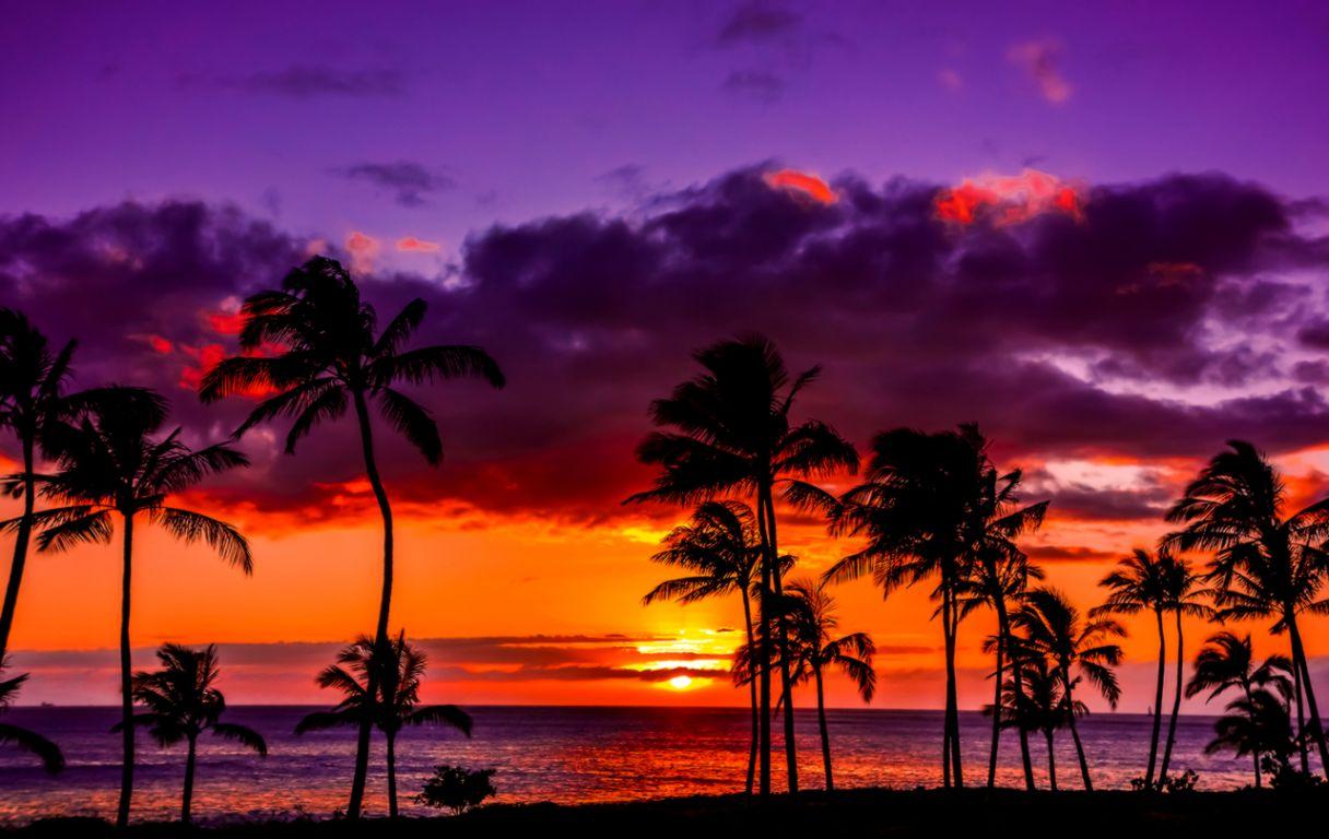 Hawaii Sunset Wallpapers - Top Free Hawaii Sunset Backgrounds ...