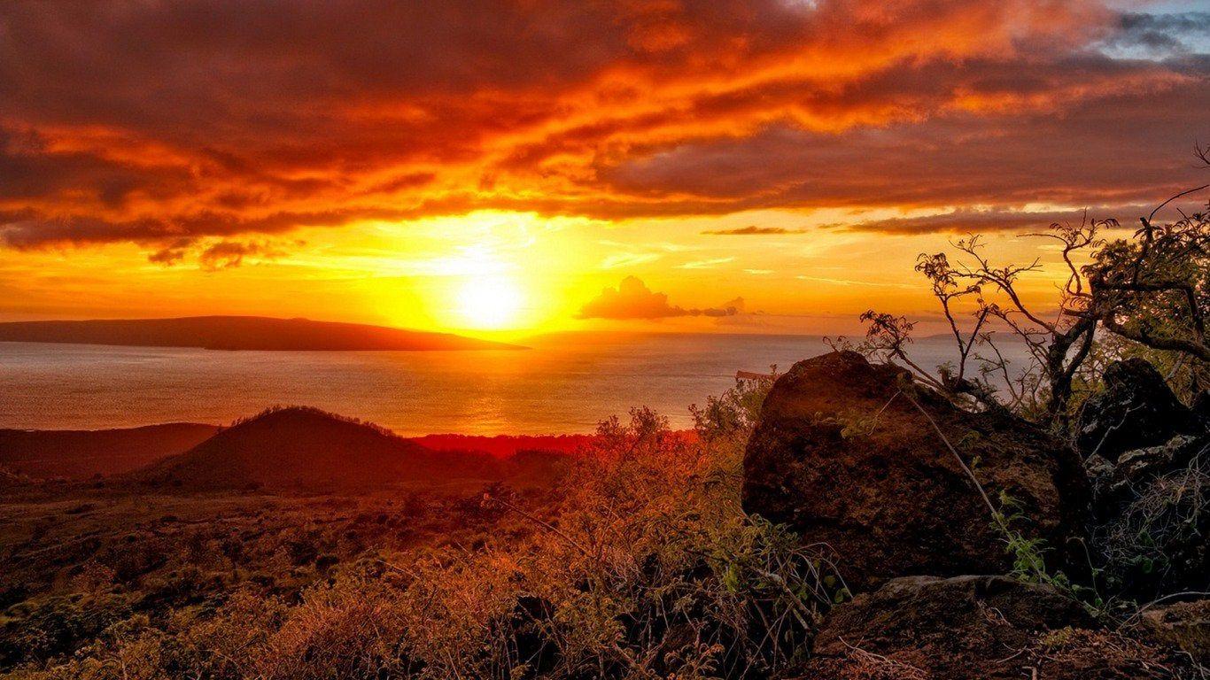 Hawaii Sunset Wallpapers - Top Free Hawaii Sunset Backgrounds ...