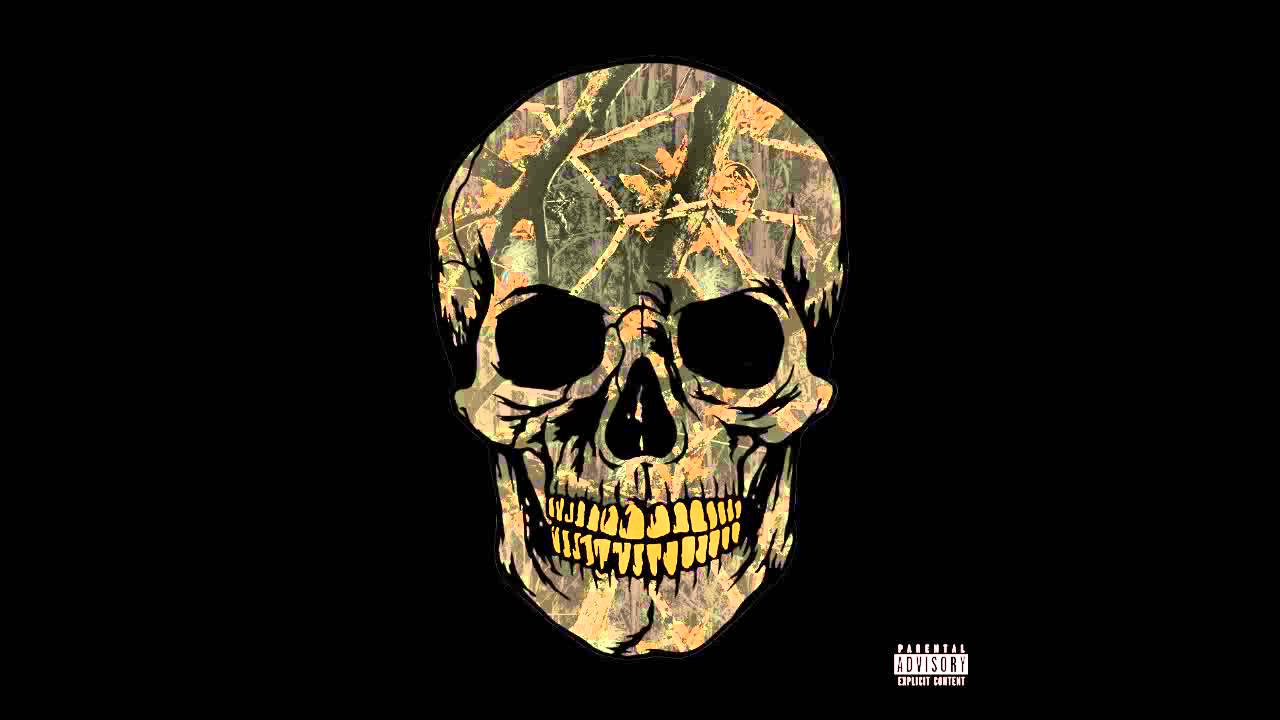 Yelawolf 4K Wallpapers - Top Free Yelawolf 4K Backgrounds - WallpaperAccess