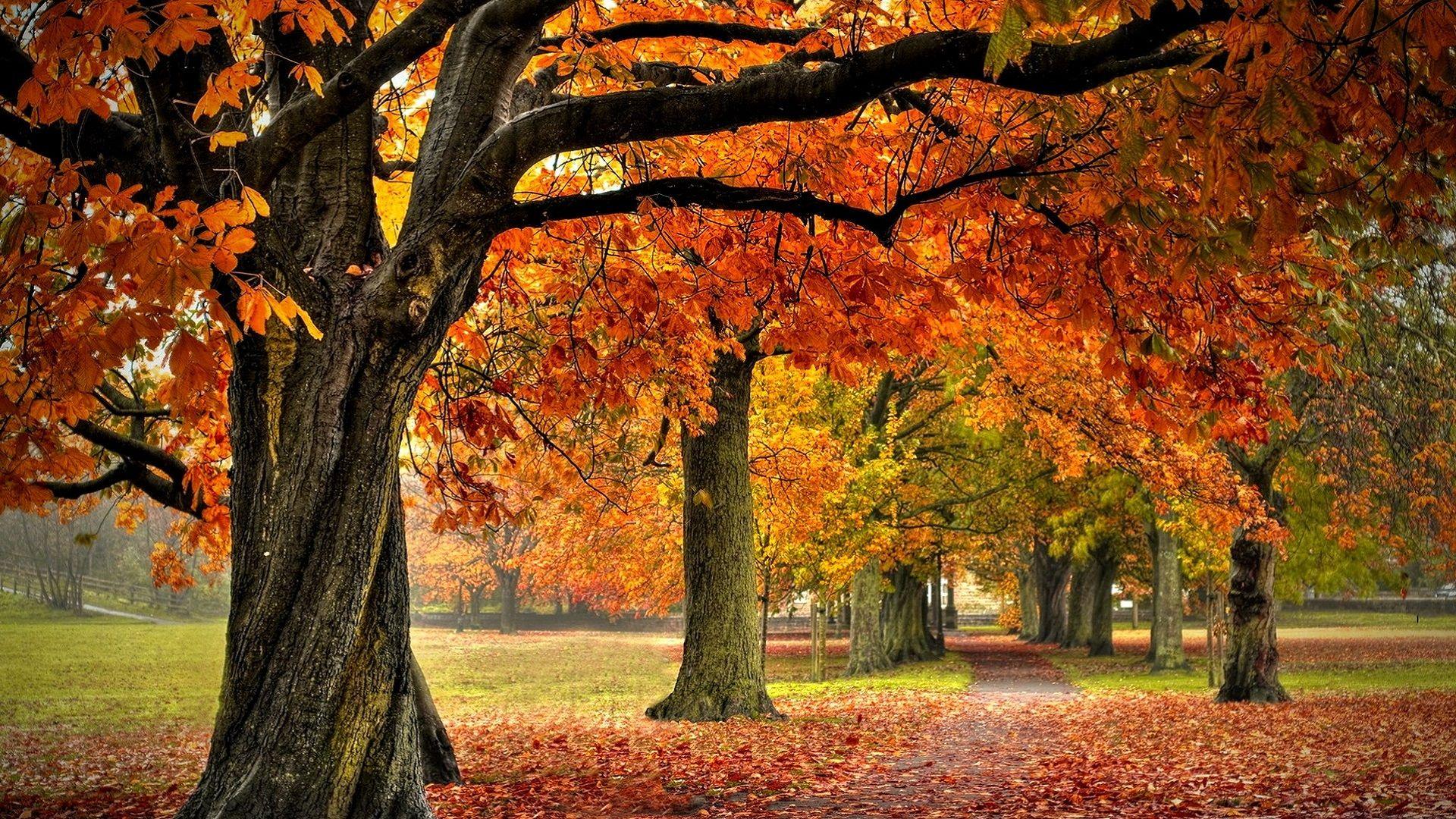 Autumn Landscape 3D Desktop Wallpapers - Top Free Autumn Landscape 3D ...