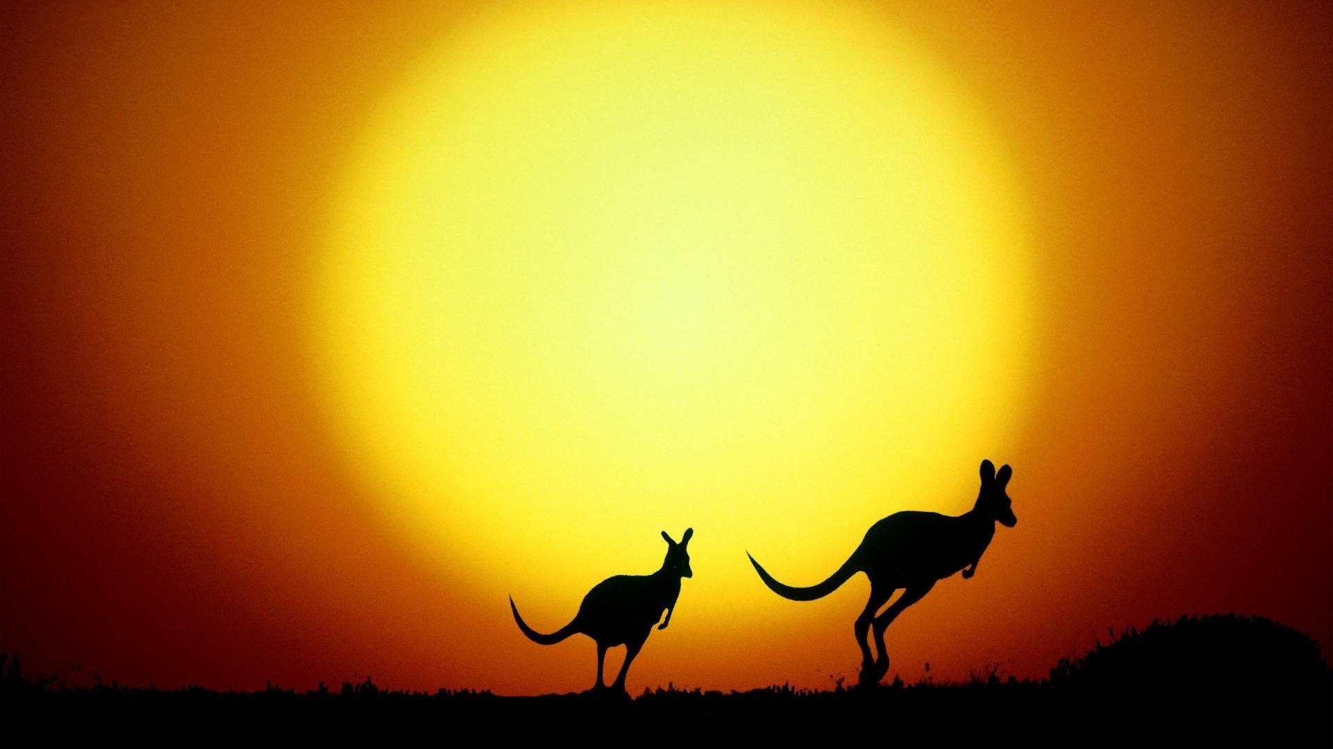 Australia Sunset Wallpapers - Top Free Australia Sunset Backgrounds ... Australia Sunset Wallpapers - Top Free Australia Sunset Backgrounds ...