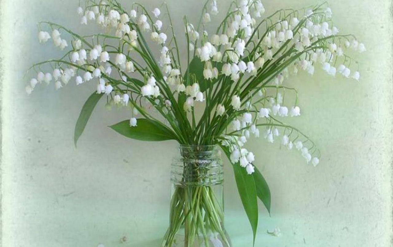 Decent Wallpapers - Top Free Decent Backgrounds - WallpaperAccess