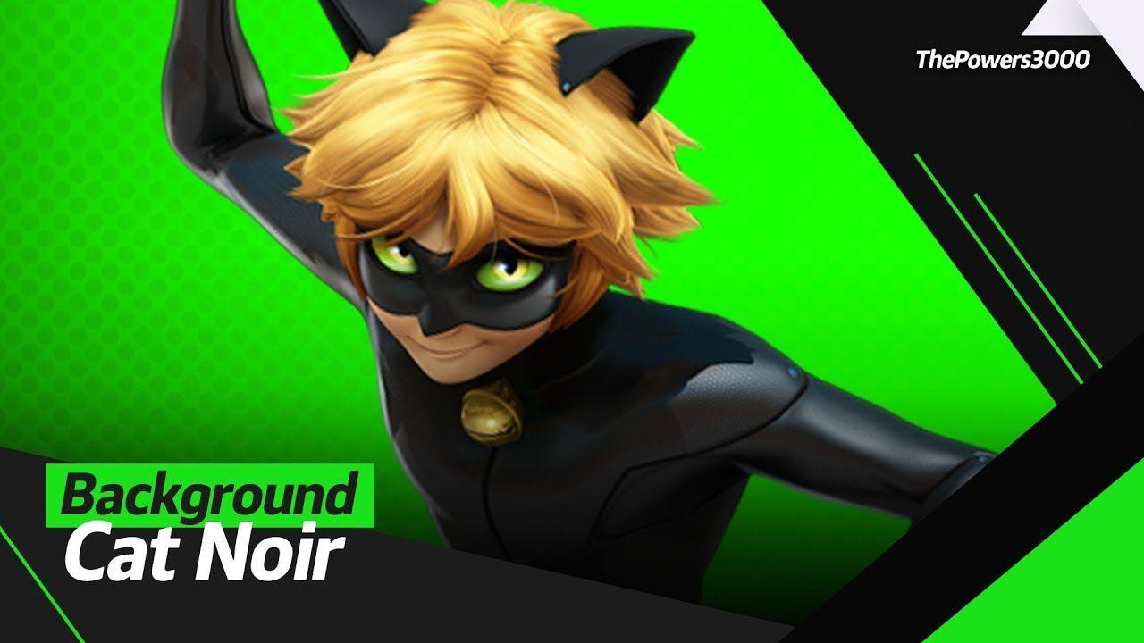 Miraculous Ladybug and Cat Noir Wallpapers - Top Free Miraculous ...