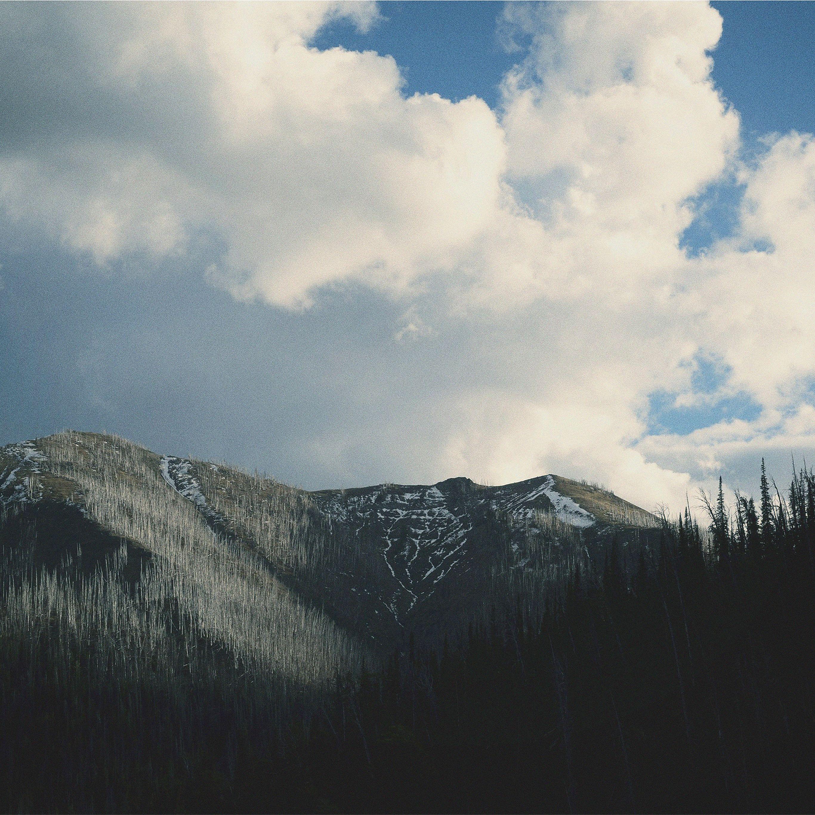 Vintage Forest Wallpapers - Top Free Vintage Forest Backgrounds ...