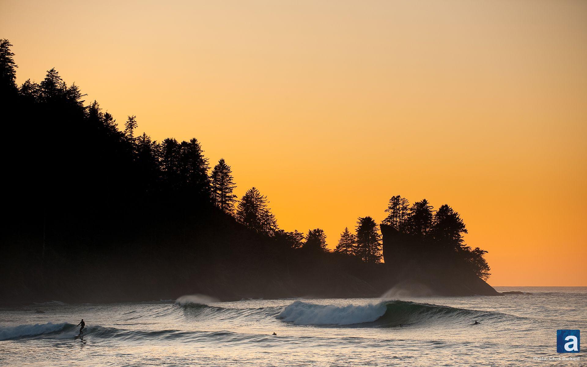Pacific Northwest Rainforest Wallpapers - Top Free Pacific Northwest ...