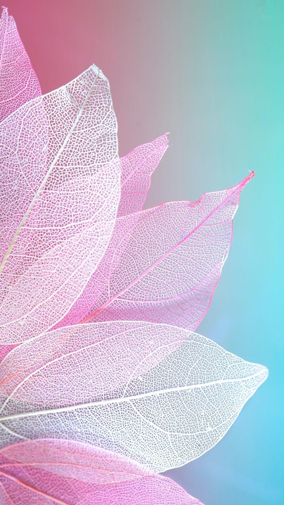 Abstract Nature Phone Wallpapers - Top Free Abstract Nature Phone ...