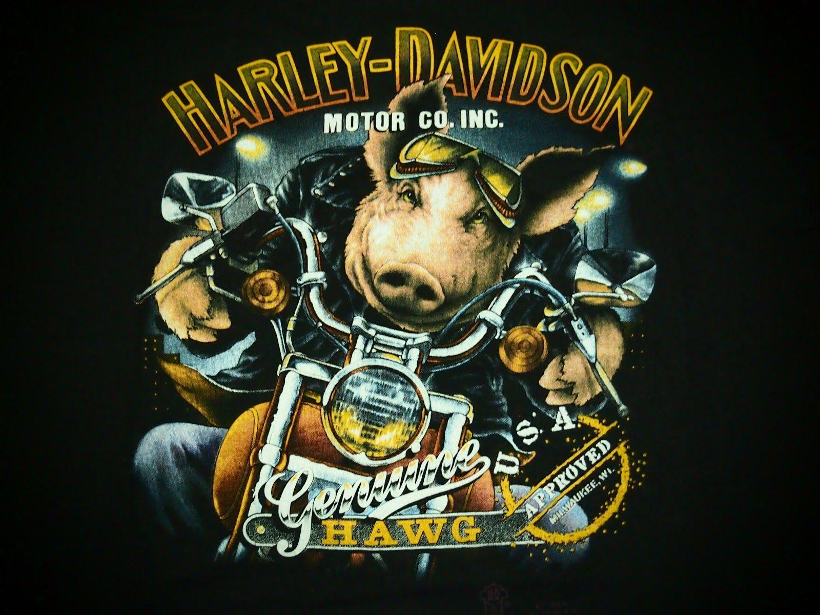 3D Harley Wallpapers - Top Free 3D Harley Backgrounds - WallpaperAccess