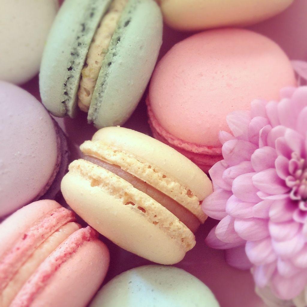 Pastel Macaron Wallpapers - Top Free Pastel Macaron Backgrounds ...