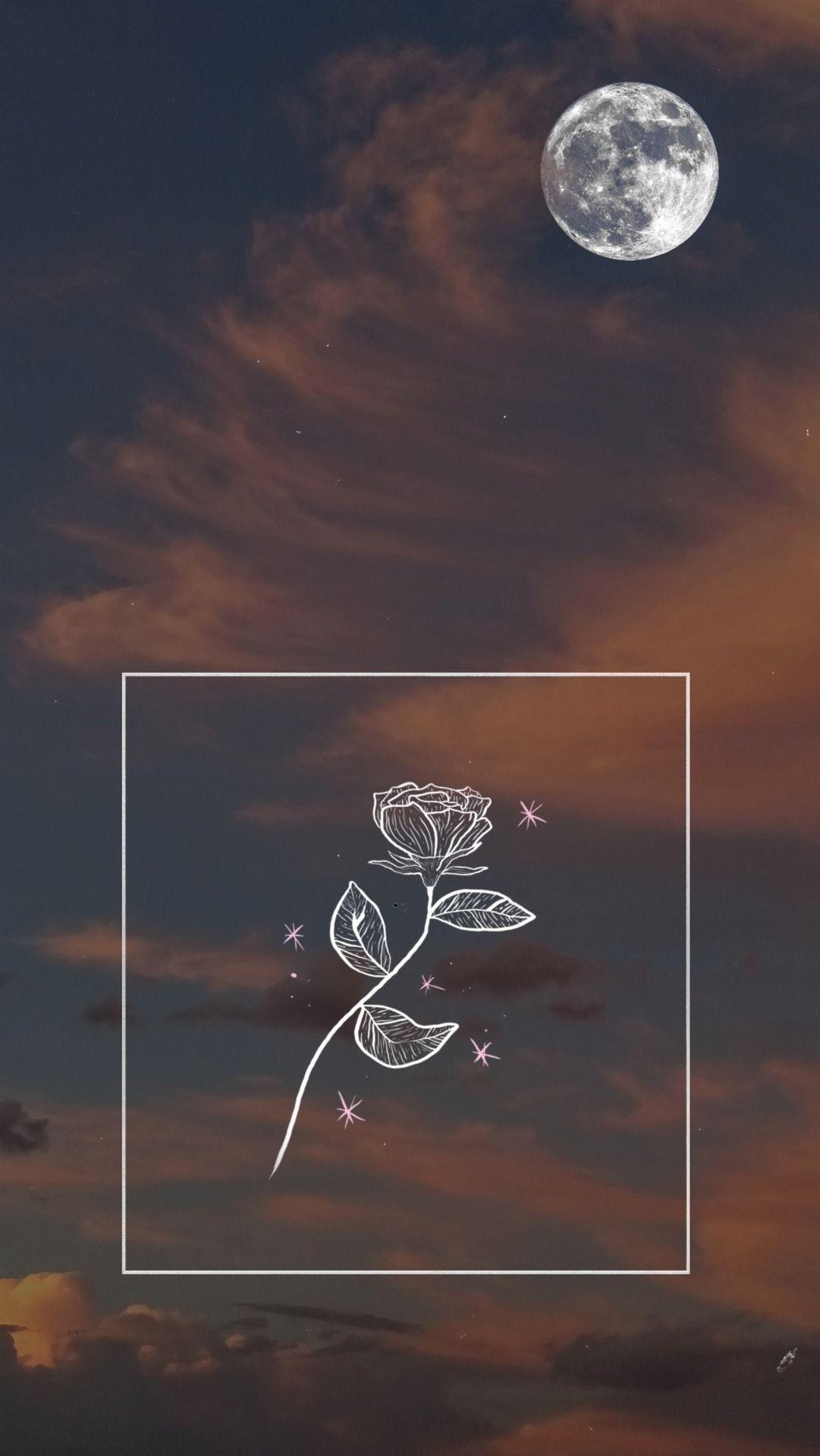 Android Aesthetic Wallpapers - Top Free Android Aesthetic Backgrounds ...