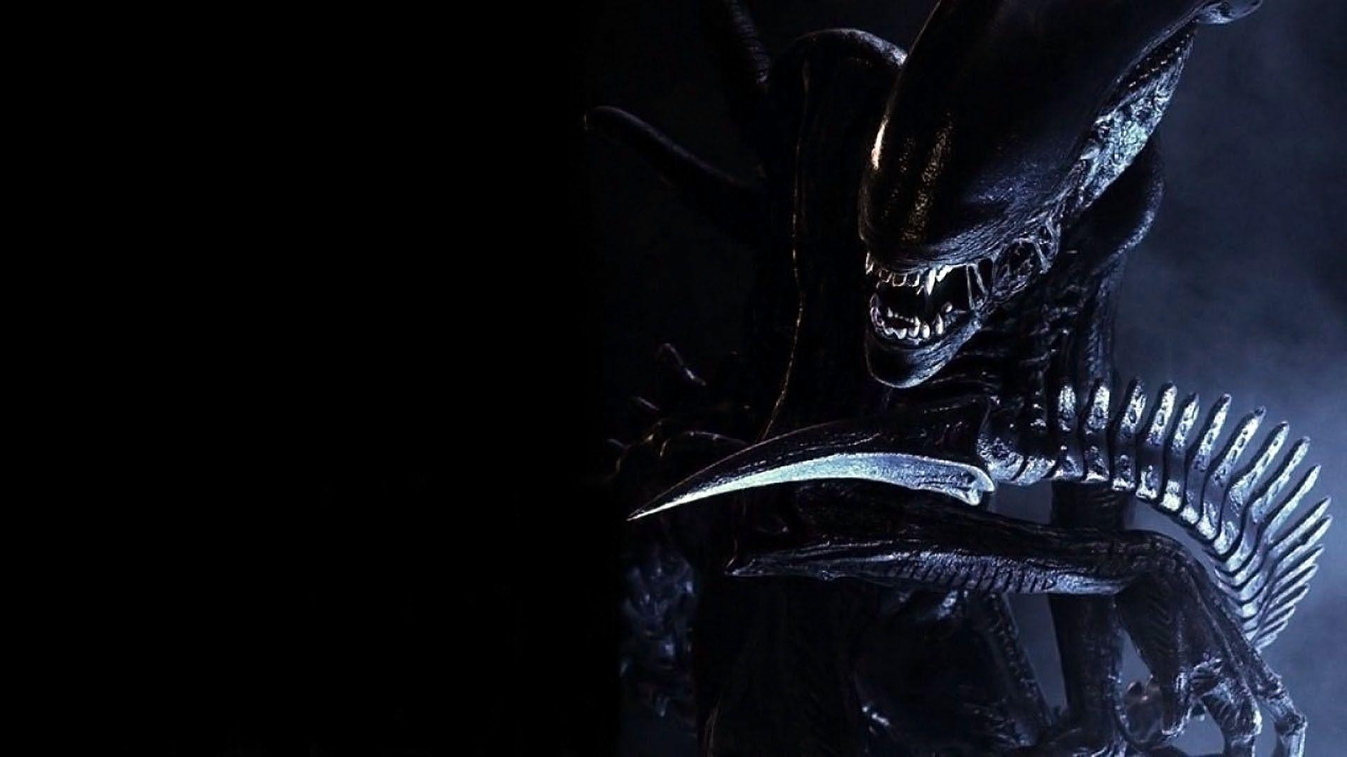 Alien Xenomorph Wallpapers - Top Free Alien Xenomorph Backgrounds ...
