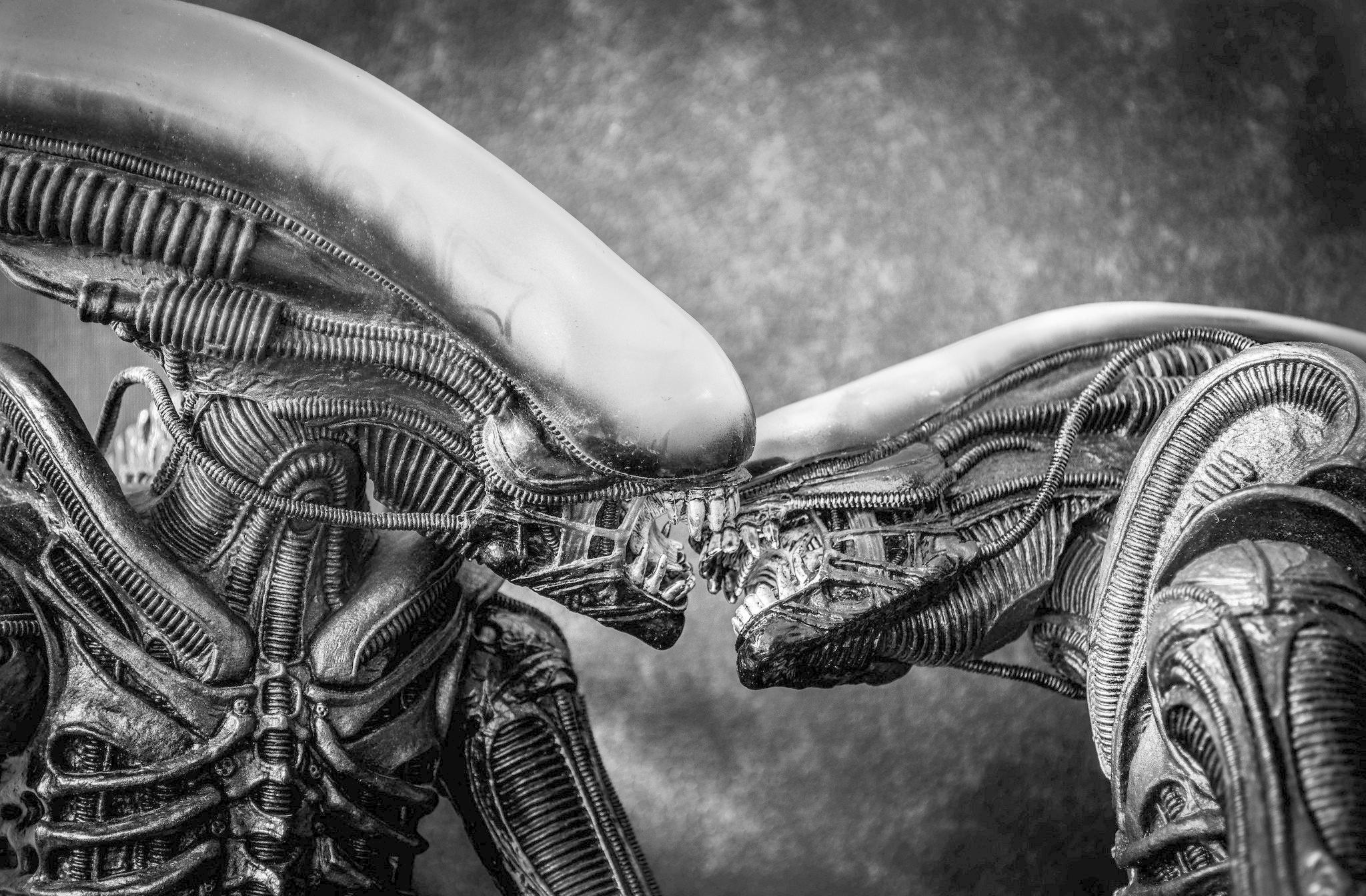 Alien Xenomorph Wallpapers - Top Free Alien Xenomorph Backgrounds ...