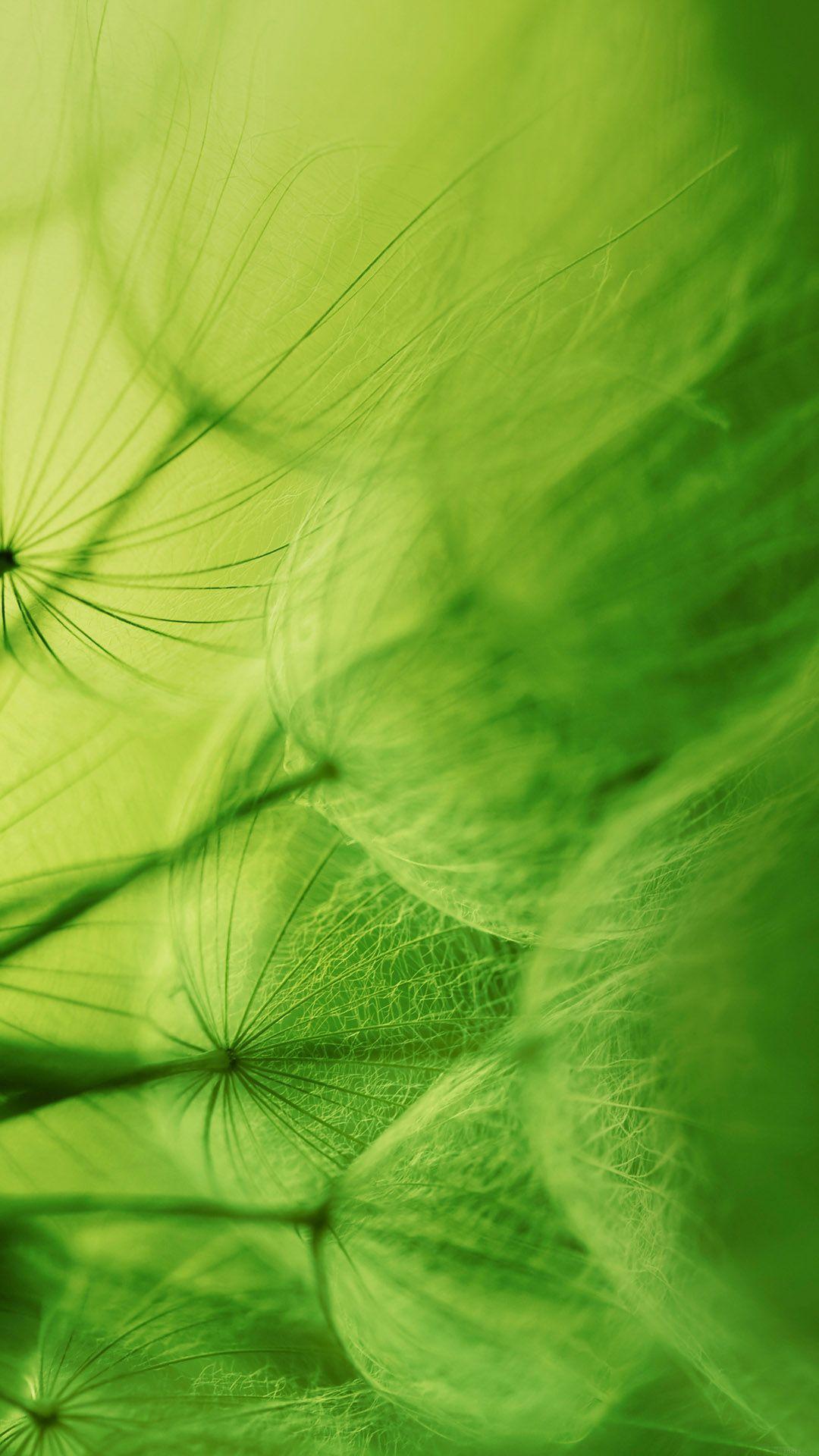 Oppo Phone Wallpapers - Top Free Oppo Phone Backgrounds - WallpaperAccess