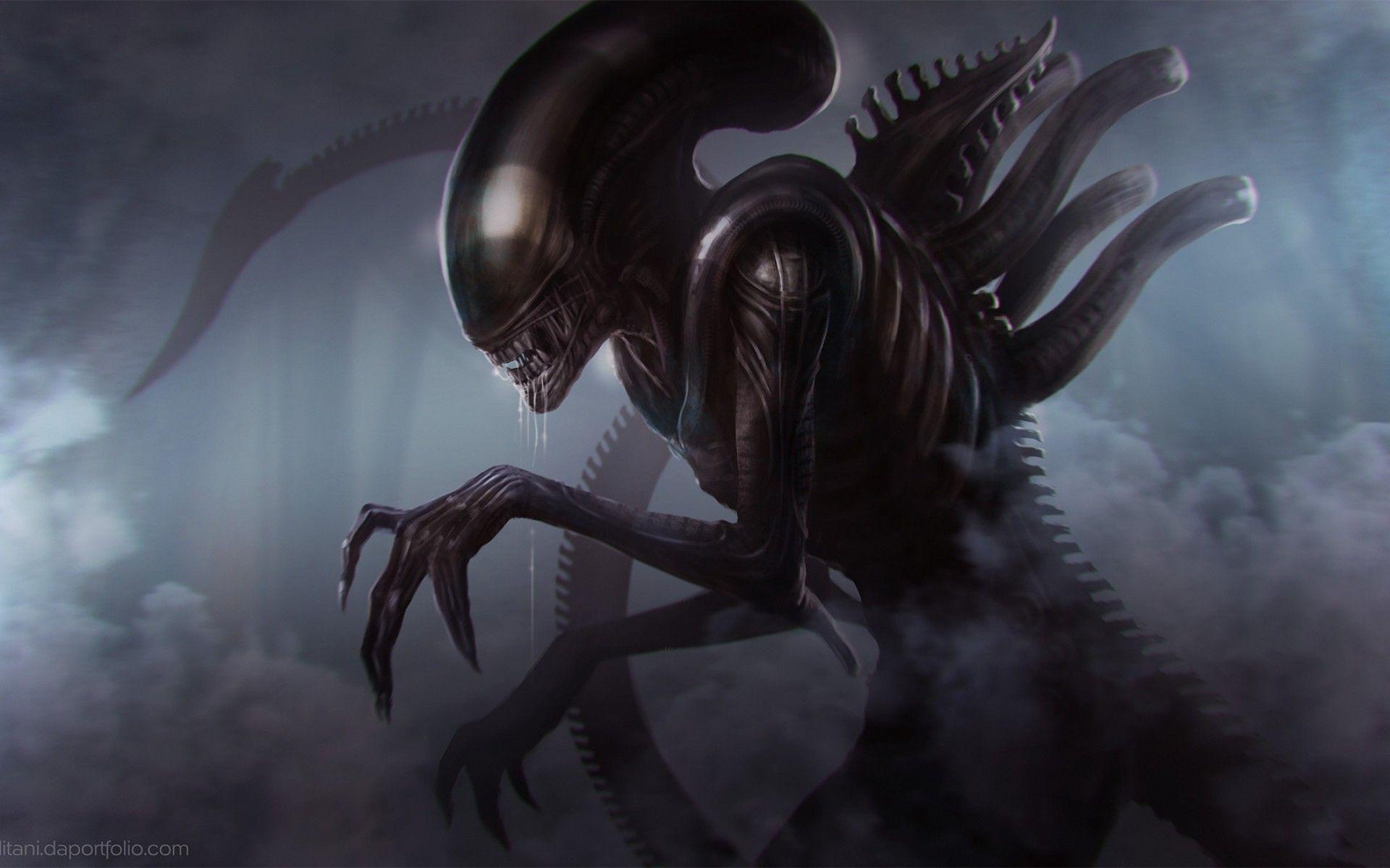 Alien Xenomorph Wallpapers - Top Free Alien Xenomorph Backgrounds ...