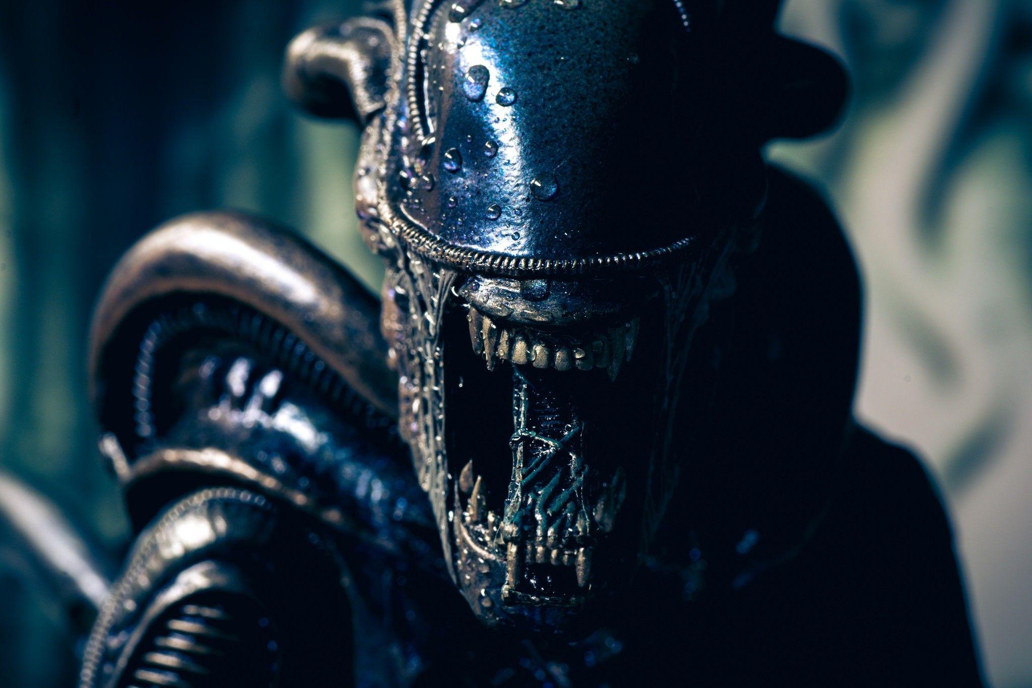 Alien Xenomorph Wallpapers - Top Free Alien Xenomorph Backgrounds ...