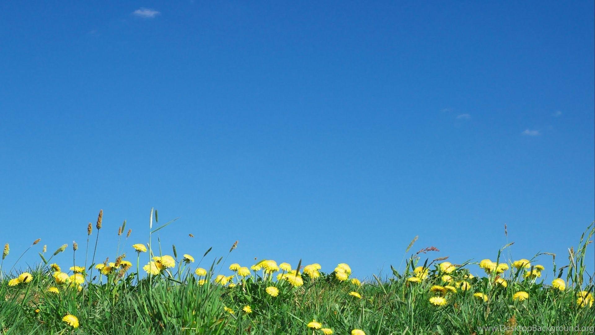 Bright Sky Wallpapers - Top Free Bright Sky Backgrounds - WallpaperAccess