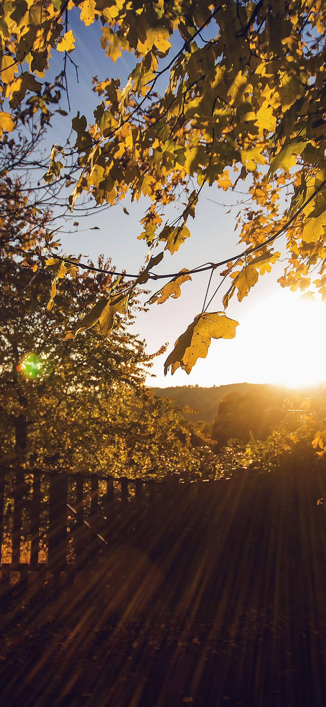 Morning iPhone Wallpapers - Top Free Morning iPhone Backgrounds ...