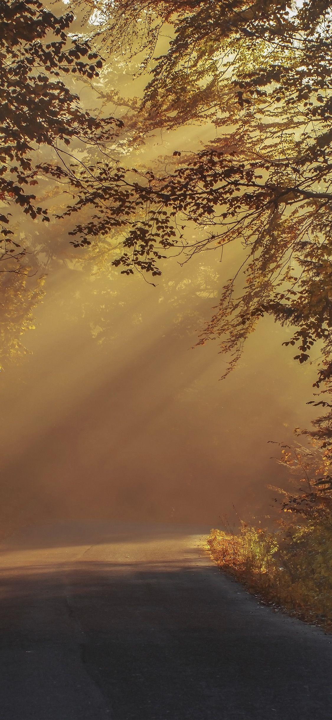 Morning iPhone Wallpapers - Top Free Morning iPhone Backgrounds ...