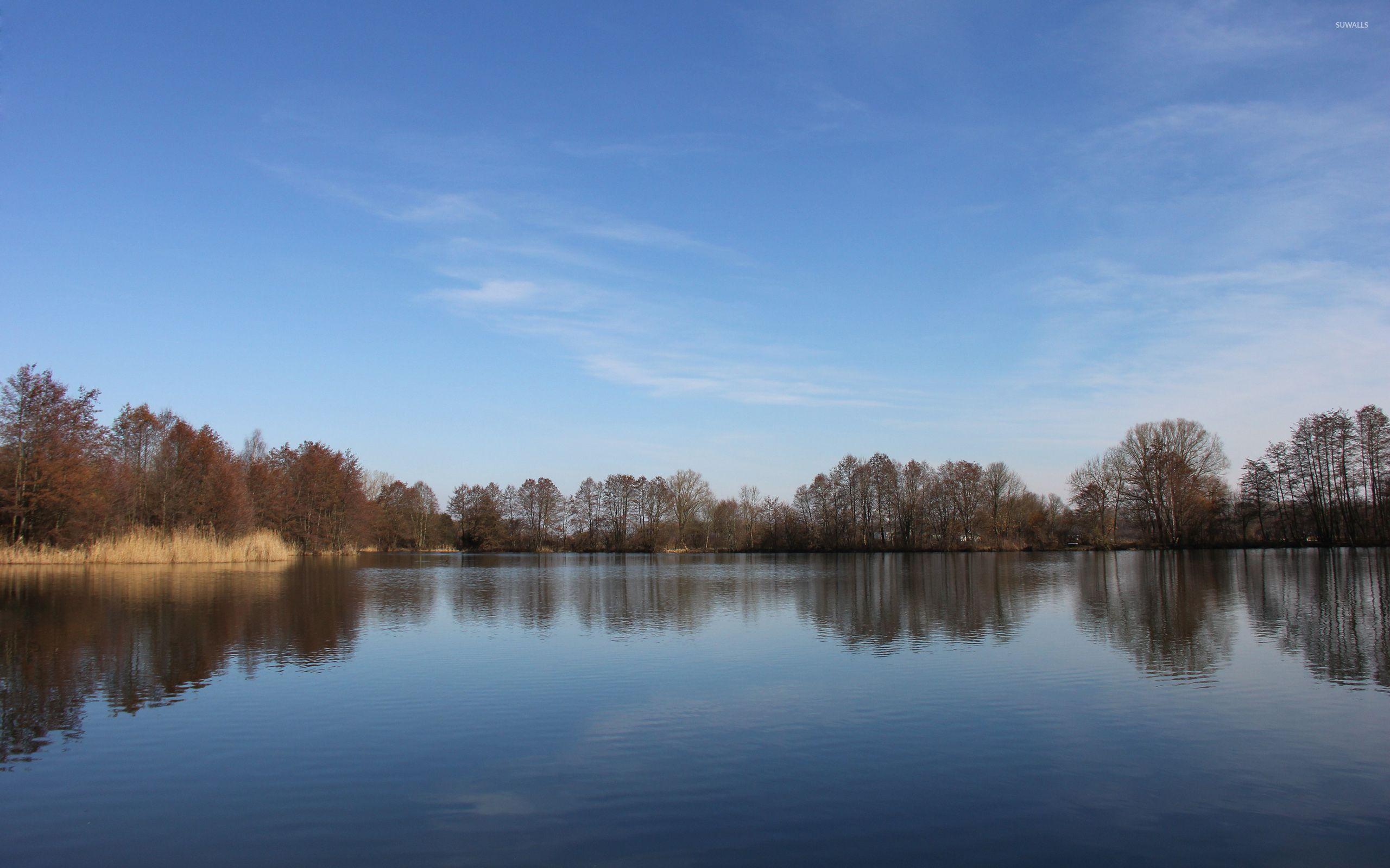 Trees Water Wallpapers - Top Free Trees Water Backgrounds - WallpaperAccess