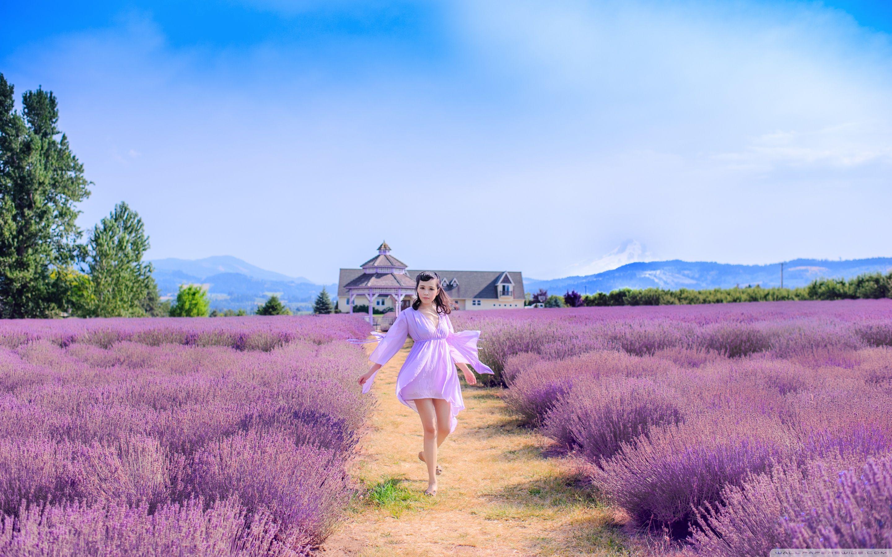 Summer 4K Ultra Wide Wallpapers - Top Free Summer 4K Ultra Wide ...
