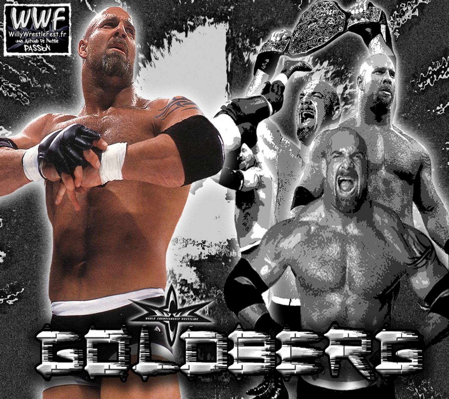 Cool Goldberg Wallpapers - Top Free Cool Goldberg Backgrounds ...