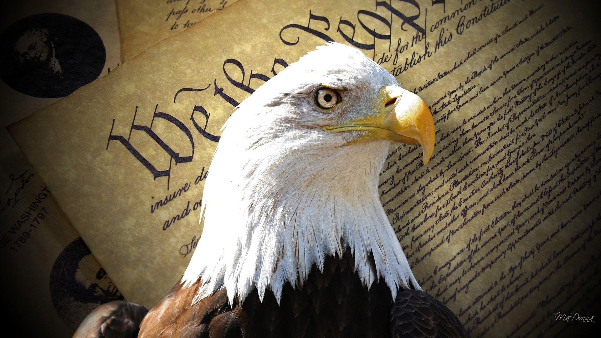 Patriotic Eagle Wallpapers - Top Free Patriotic Eagle Backgrounds ...