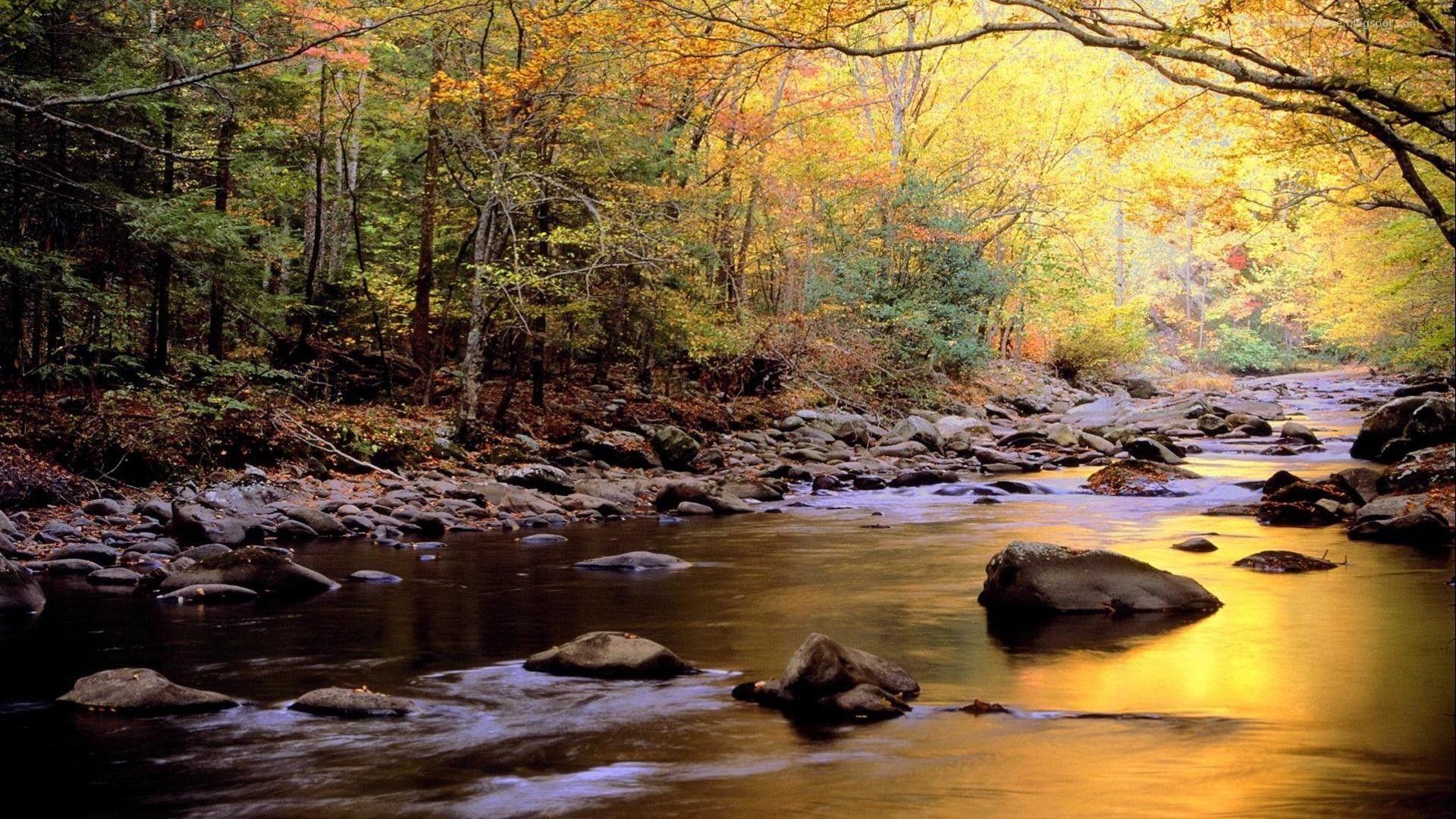 HD River Wallpapers - Top Free HD River Backgrounds - WallpaperAccess