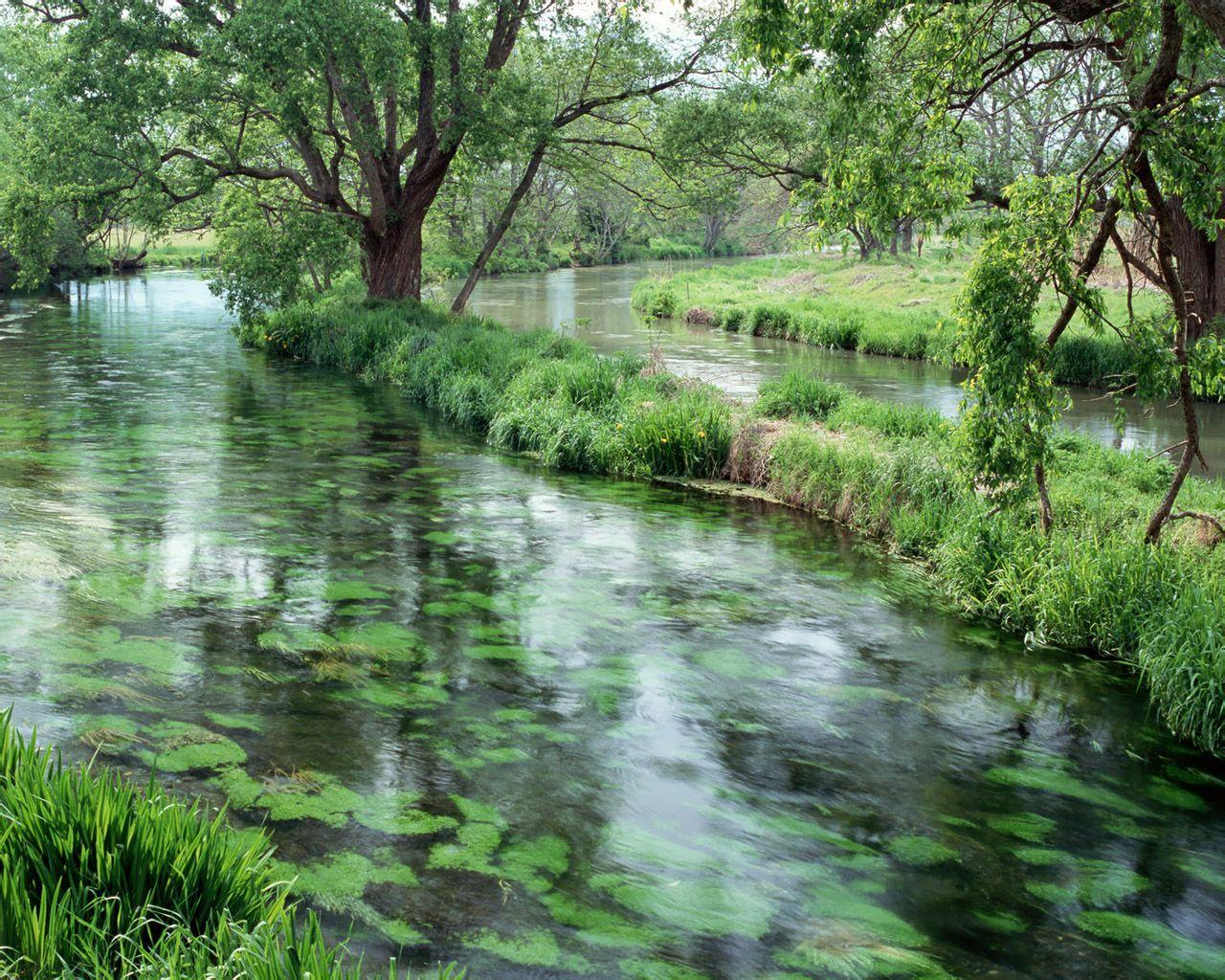 Moving Scenes Wallpapers - Top Free Moving Scenes Backgrounds ...