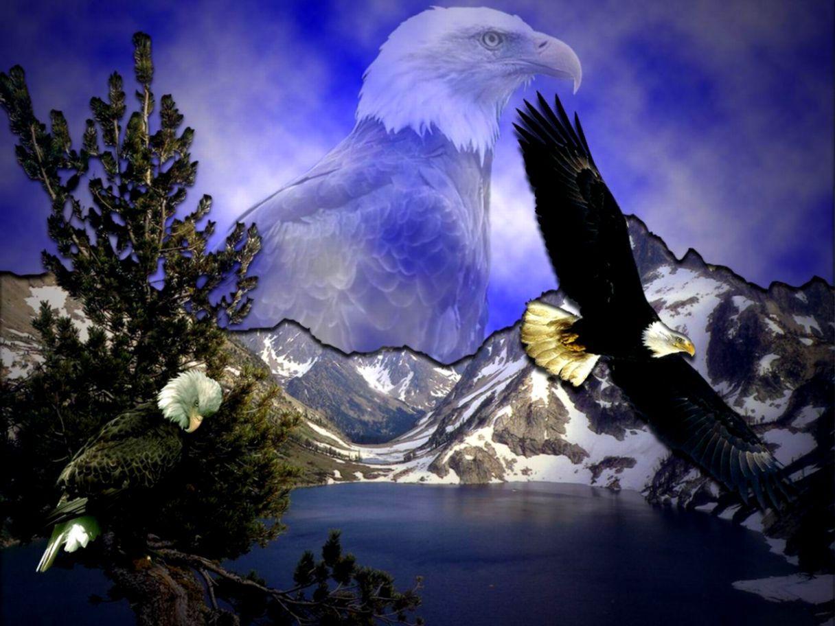 Patriotic Eagle Wallpapers - Top Free Patriotic Eagle Backgrounds ...