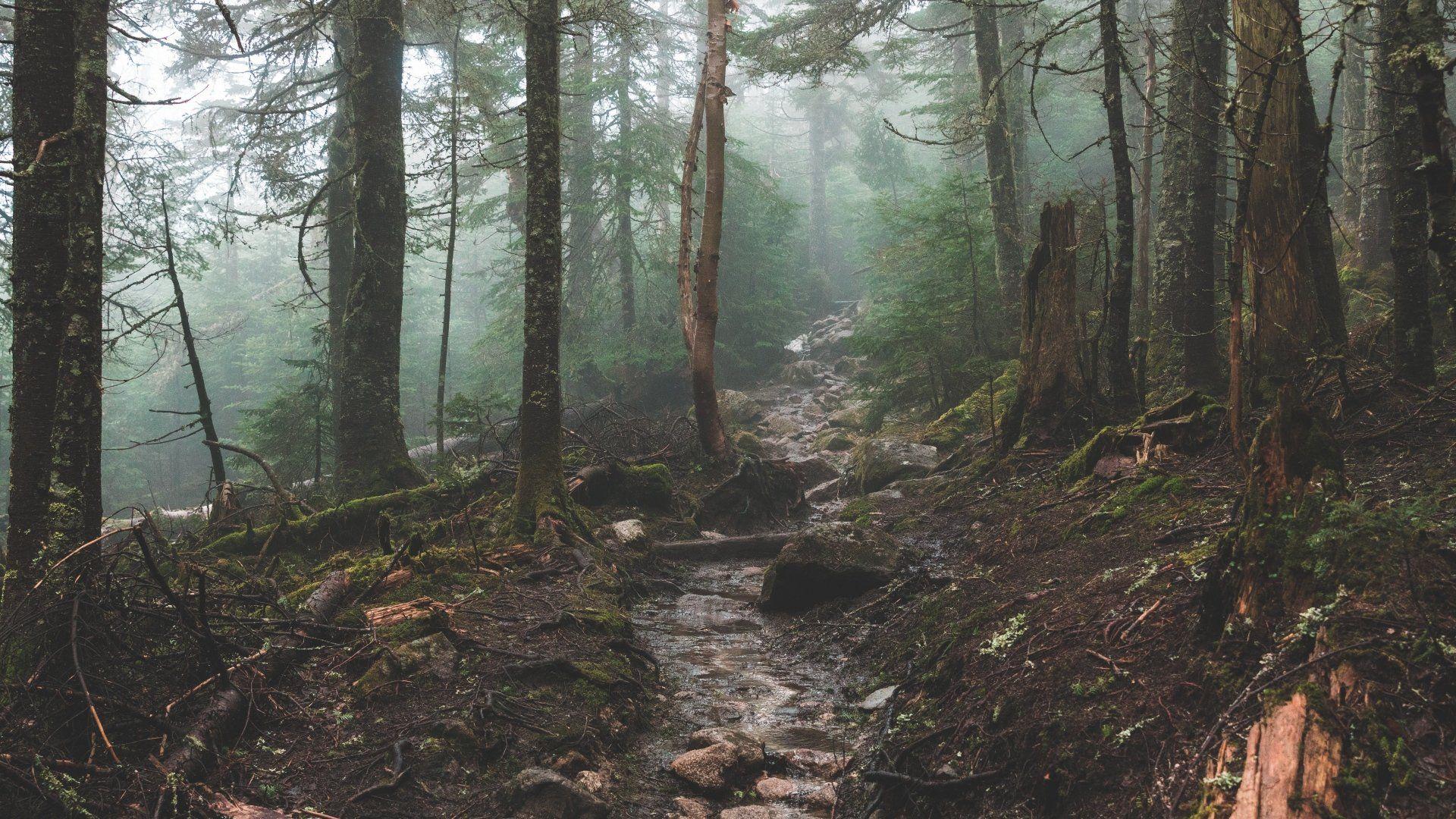 Creek 1920X1080 HD Nature Wallpapers - Top Free Creek 1920X1080 HD ...