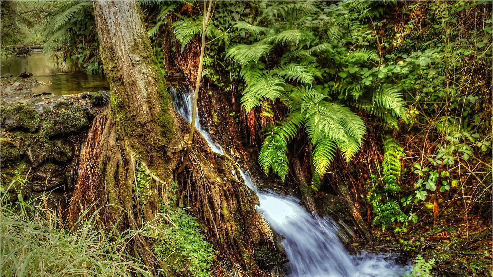 Creek 1920X1080 HD Nature Wallpapers - Top Free Creek 1920X1080 HD ...