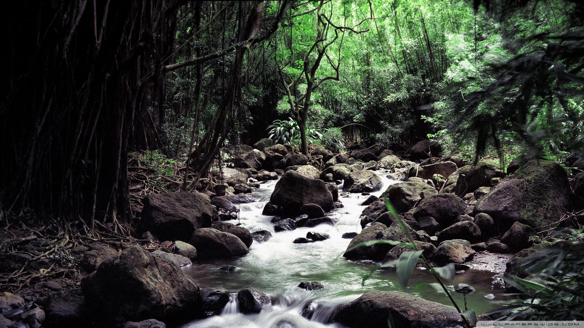 Creek 1920X1080 HD Nature Wallpapers - Top Free Creek 1920X1080 HD ...