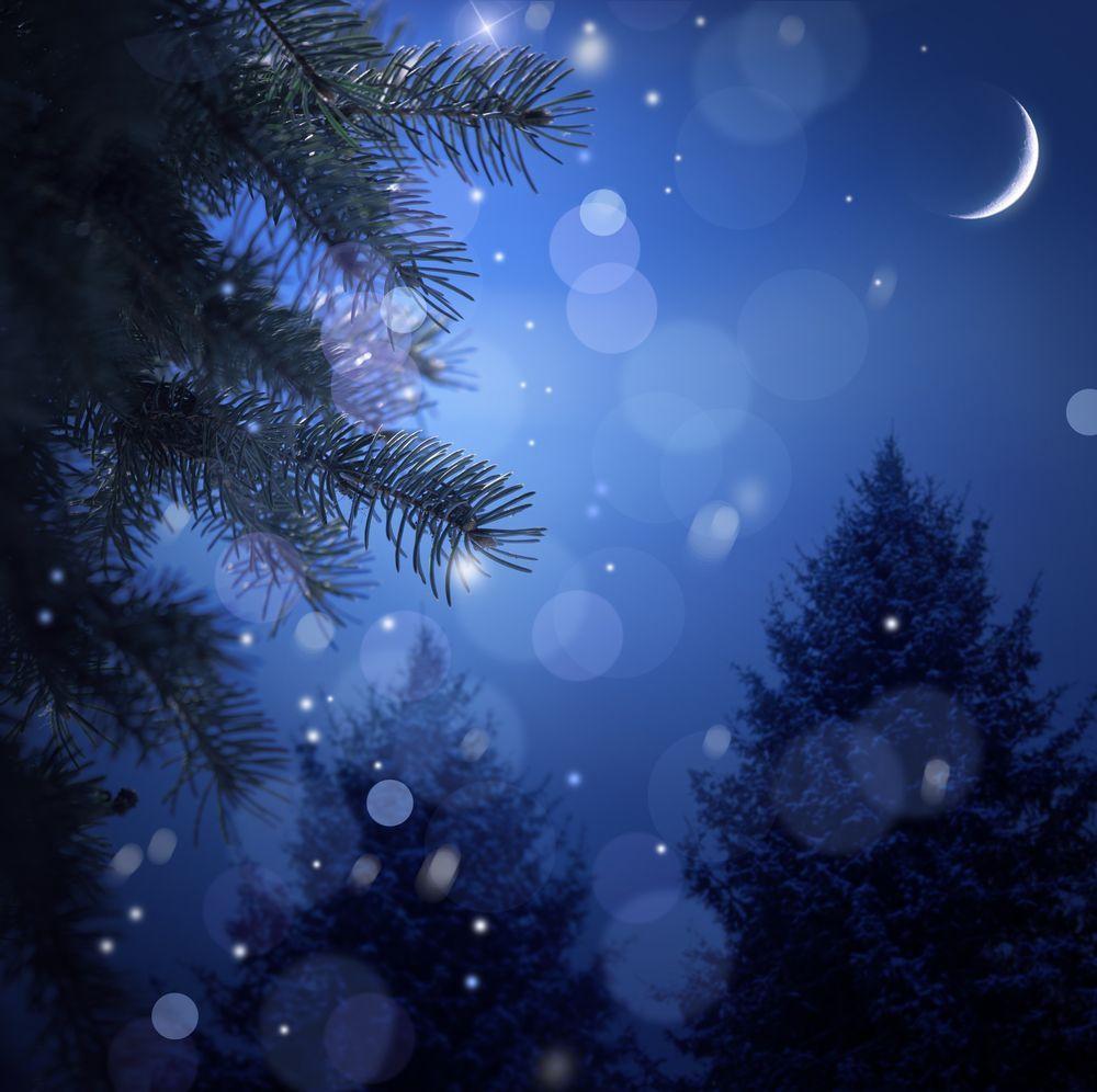 Snowy Christmas Night Wallpapers - Top Free Snowy Christmas Night ...