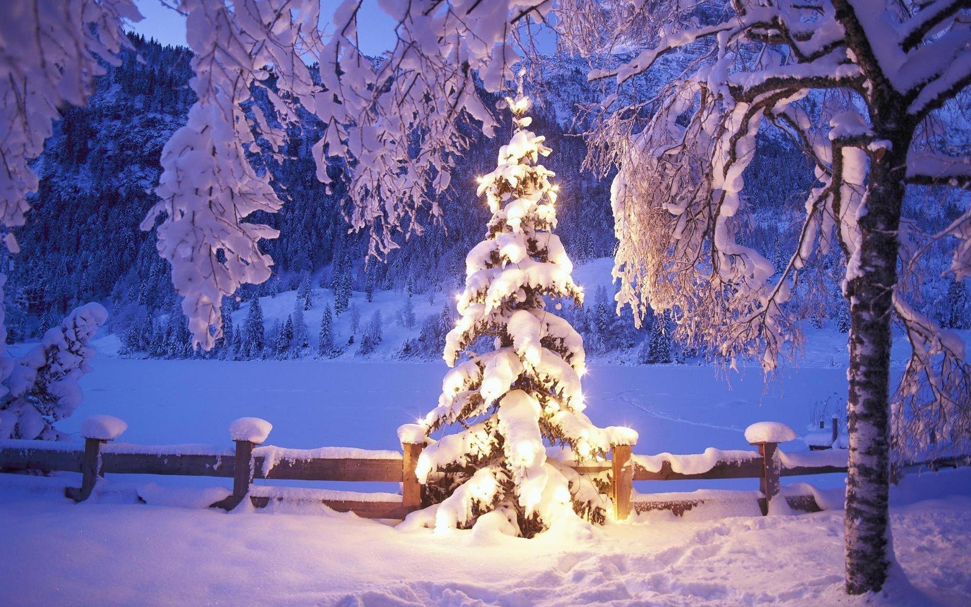Snowy Christmas Night Wallpapers - Top Free Snowy Christmas Night ...
