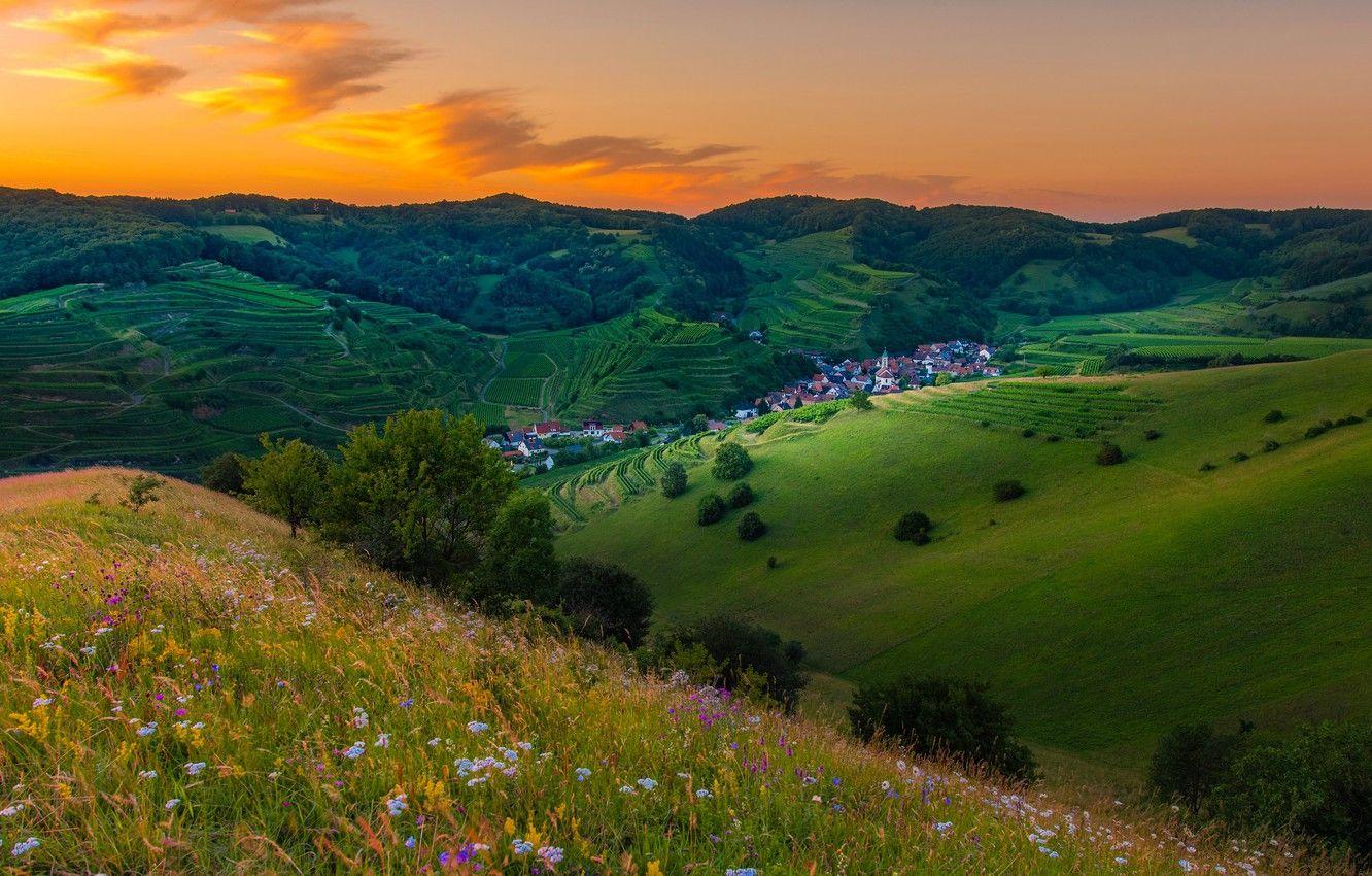 Alps Flowers Sunset Wallpapers - Top Free Alps Flowers Sunset ...