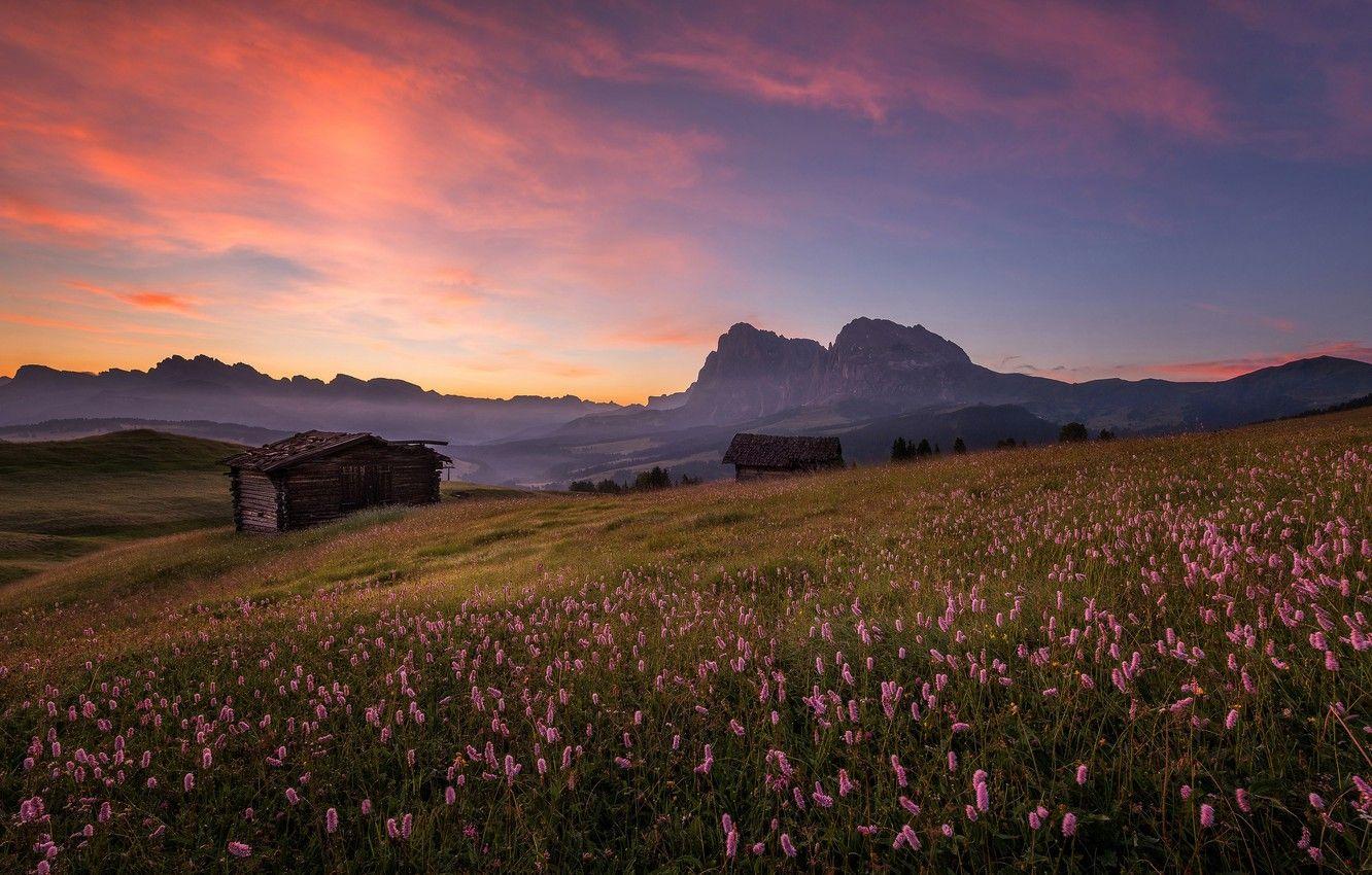 Alps Flowers Sunset Wallpapers - Top Free Alps Flowers Sunset ...