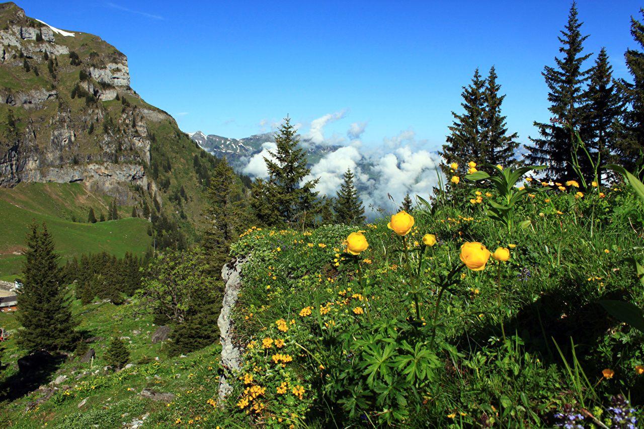 Alps Desktop Wallpapers - Top Free Alps Desktop Backgrounds ...