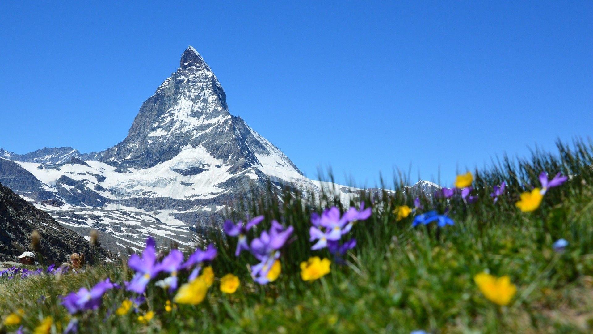 Alps Flowers Wallpapers - Top Free Alps Flowers Backgrounds ...