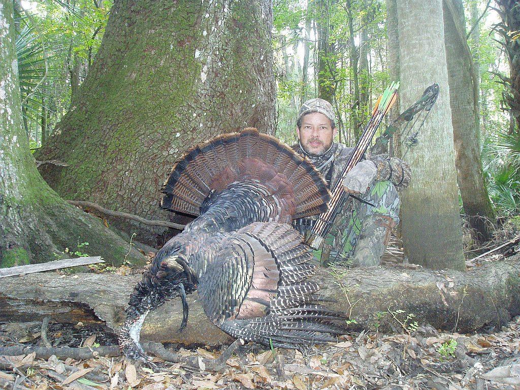 Fall Turkey Wallpapers - Top Free Fall Turkey Backgrounds - WallpaperAccess