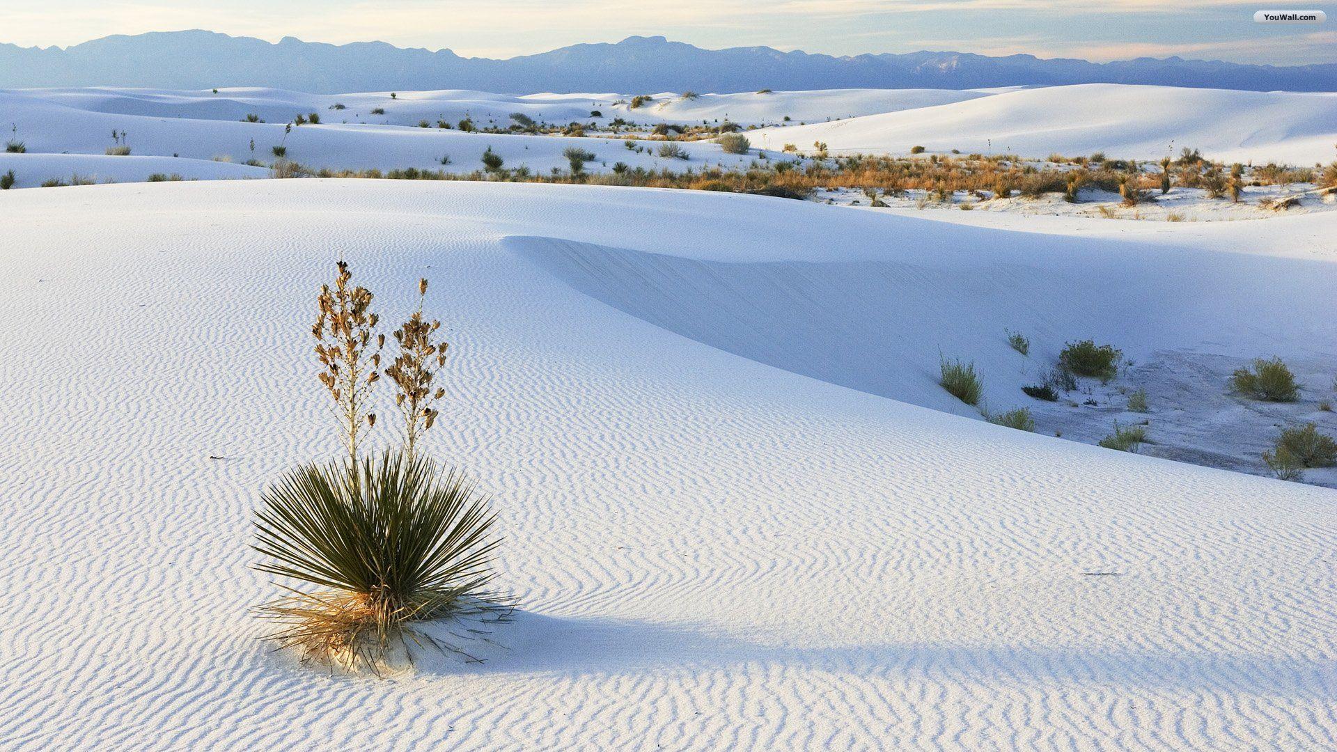 Desert Winter Wallpapers - Top Free Desert Winter Backgrounds ...